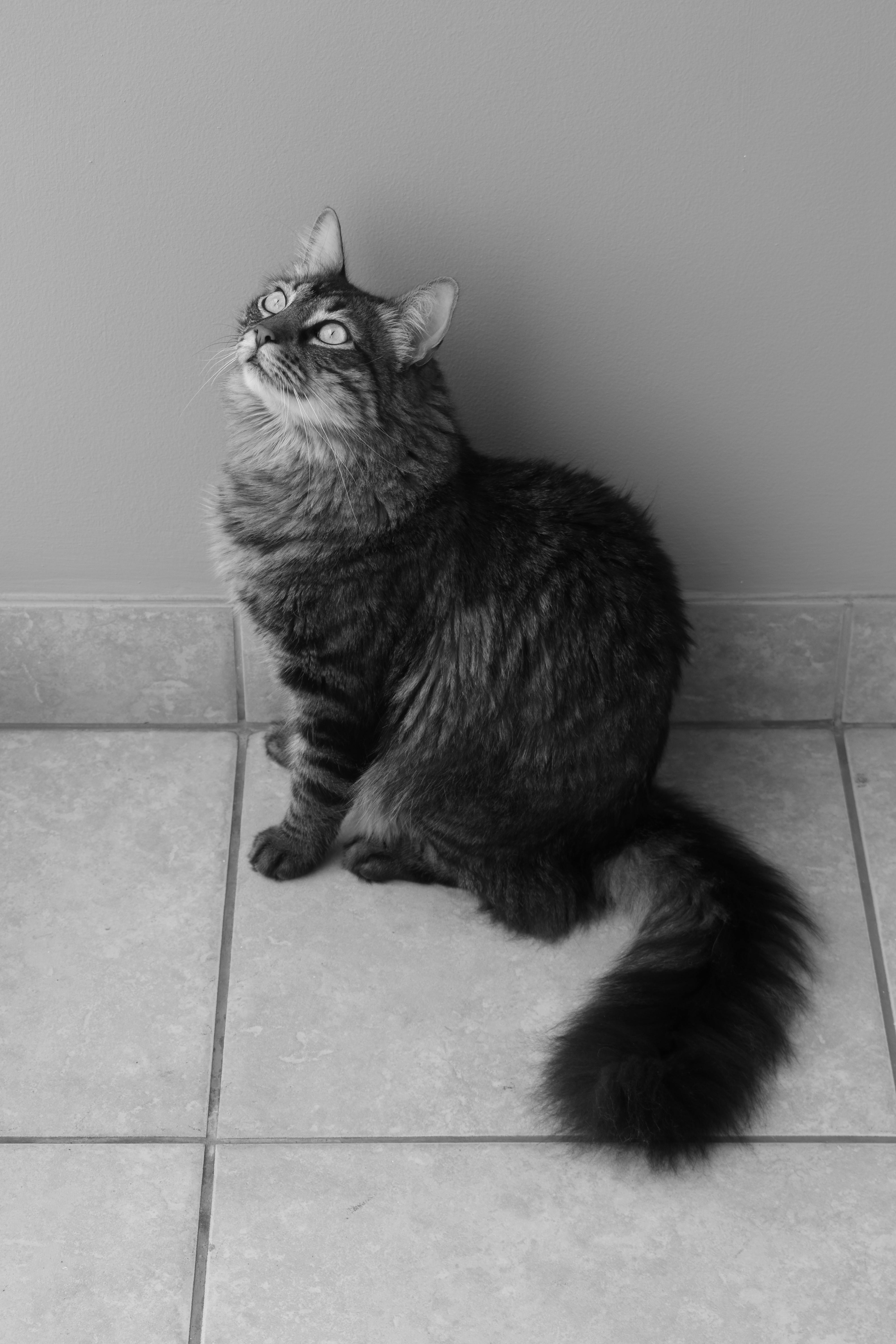 Eye Tile Photos, Download The BEST Free Eye Tile Stock Photos & HD Images