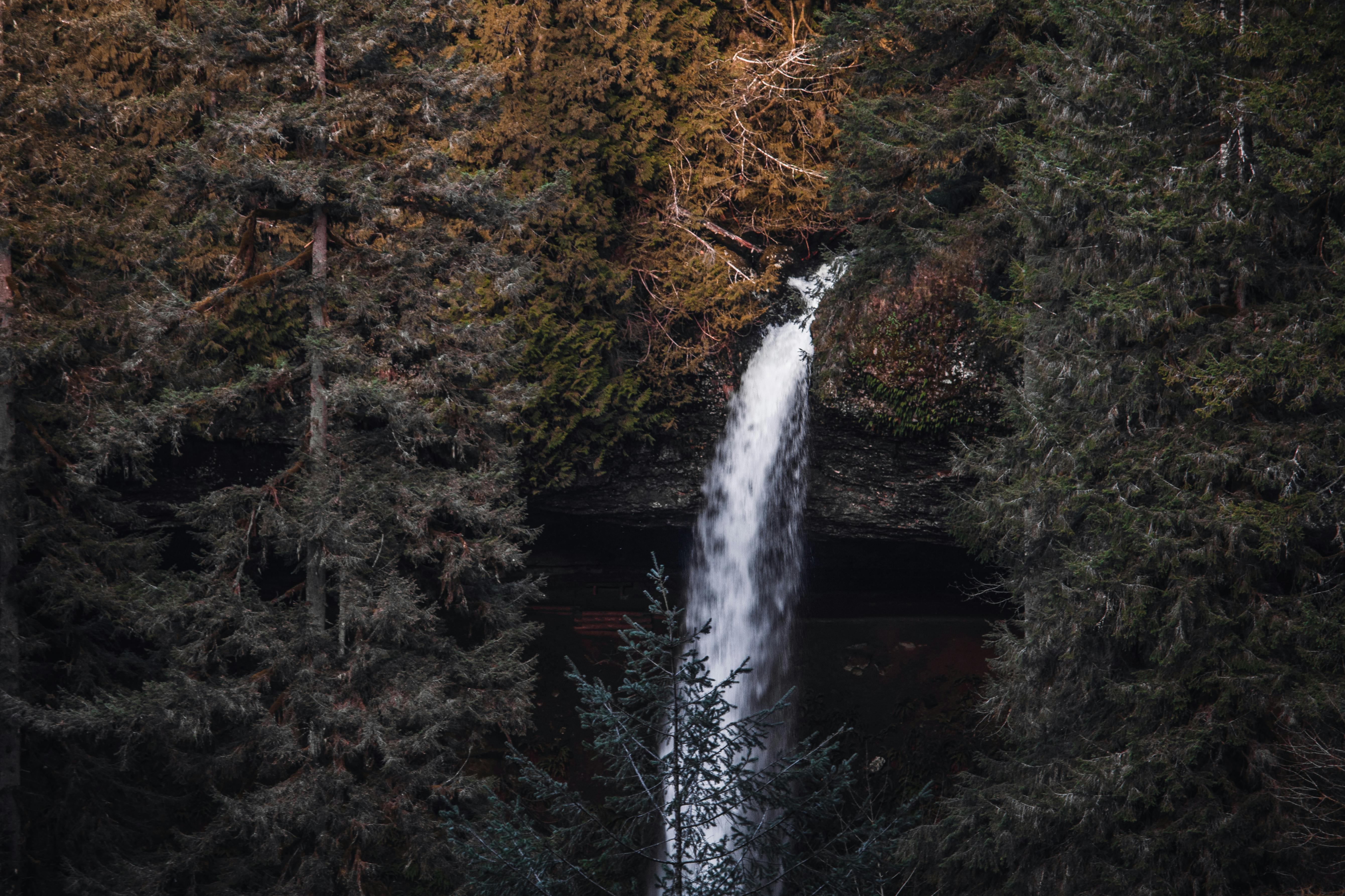Waterfall Among Trees · Free Stock Photo