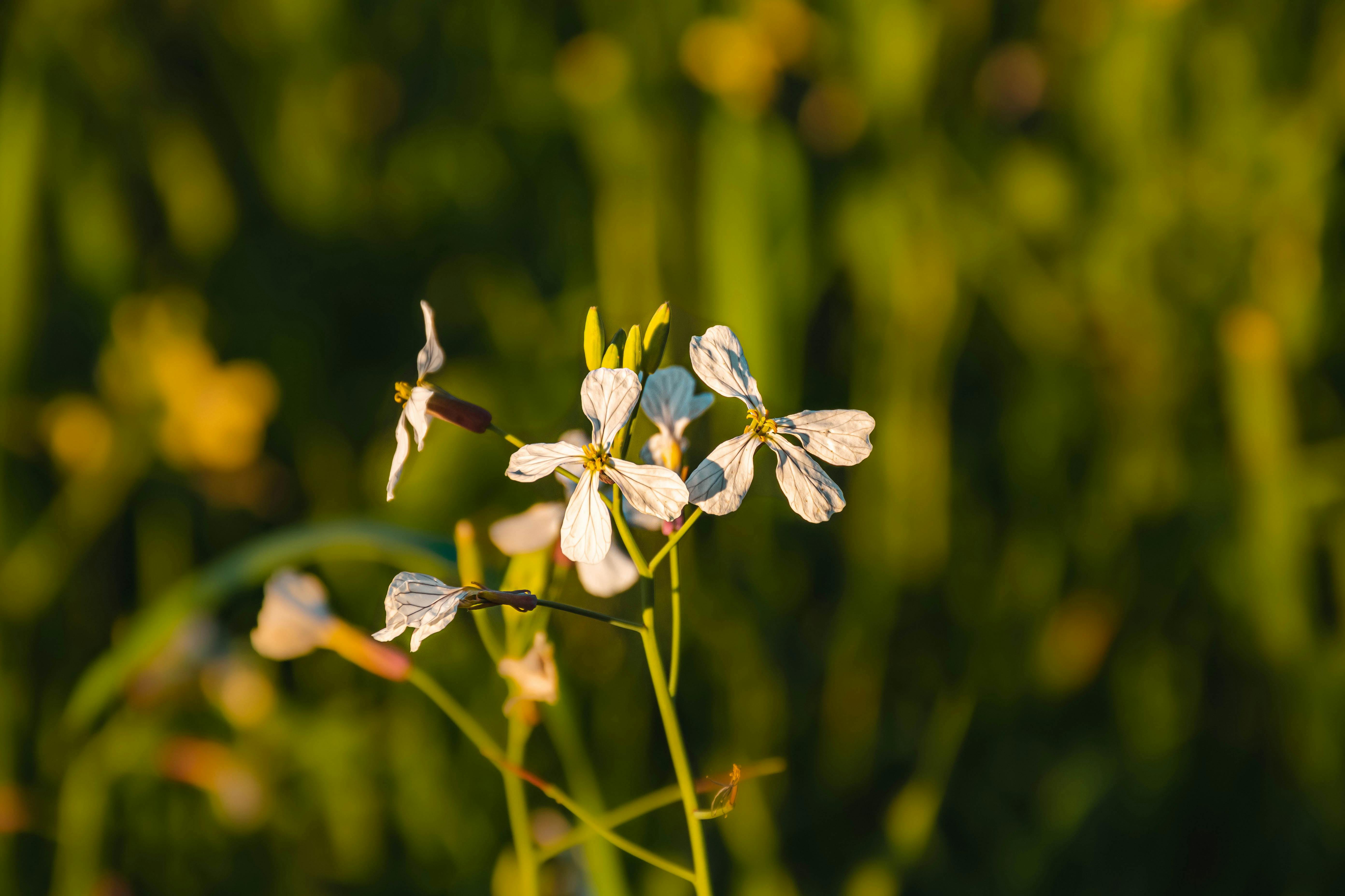 Inflation Growth Photos, Download Free Inflation Growth Stock Photos ...