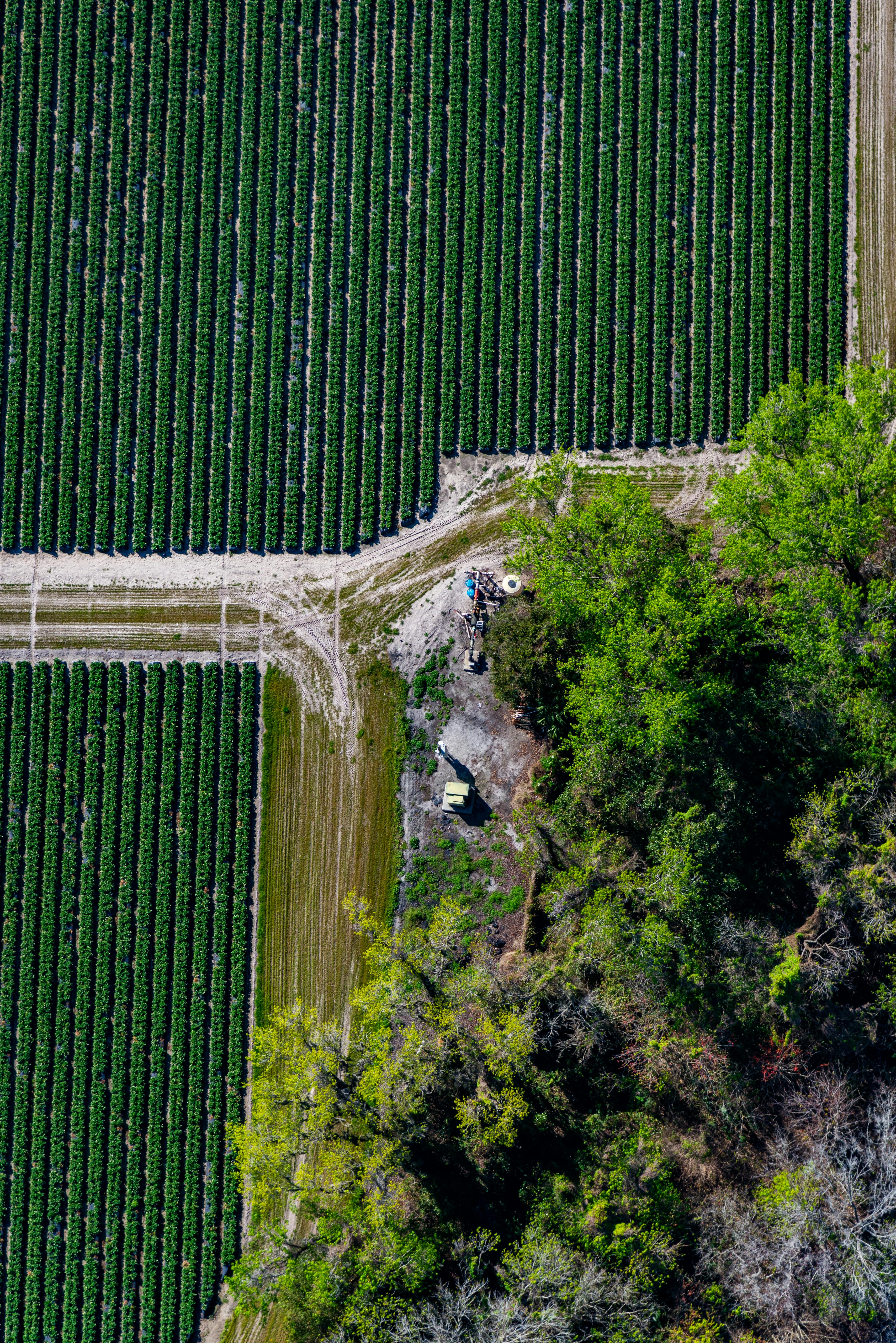 Top View of a Farm Land · Free Stock Photo
