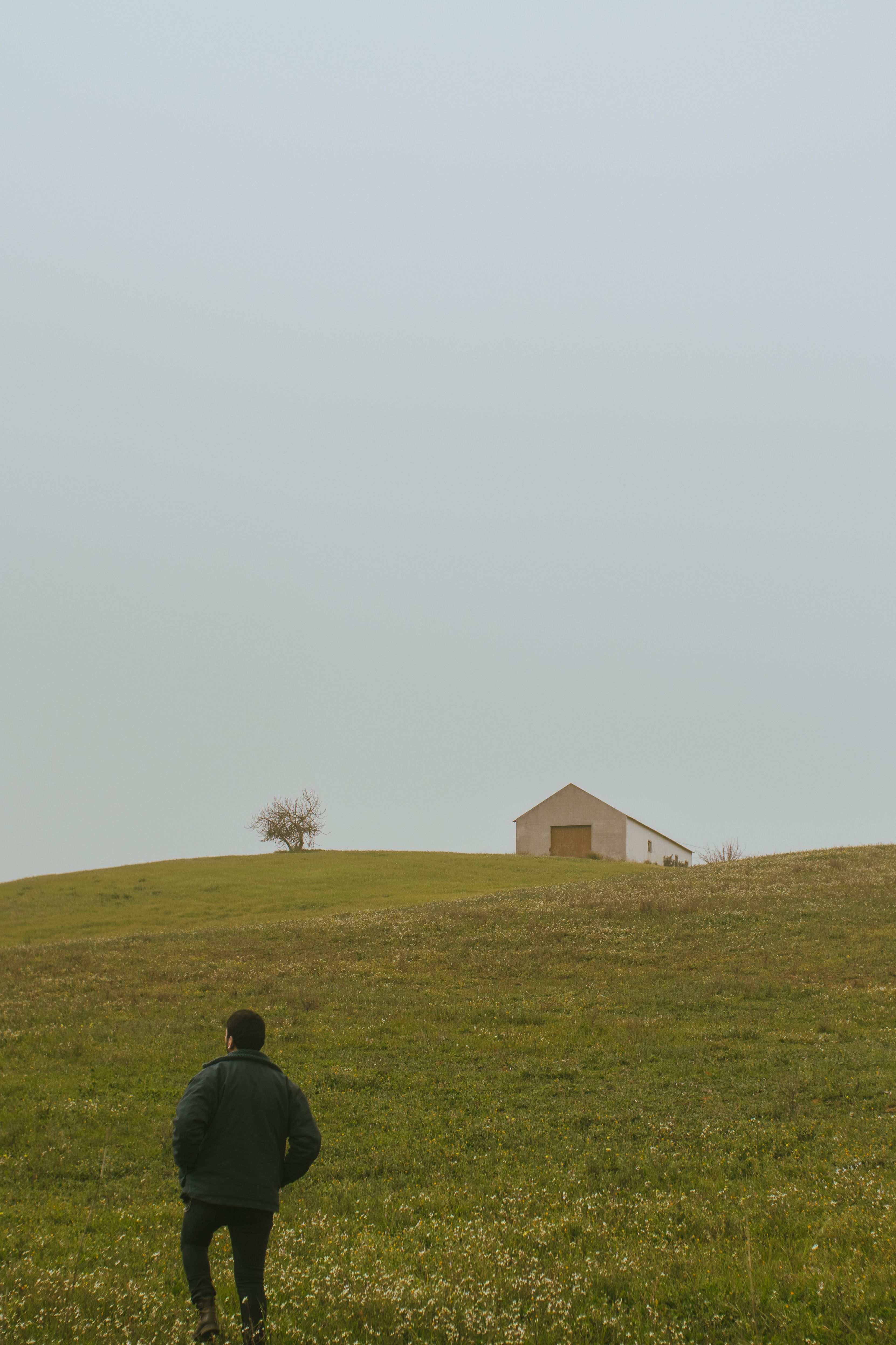 Person Standing on a Countryside · Free Stock Photo