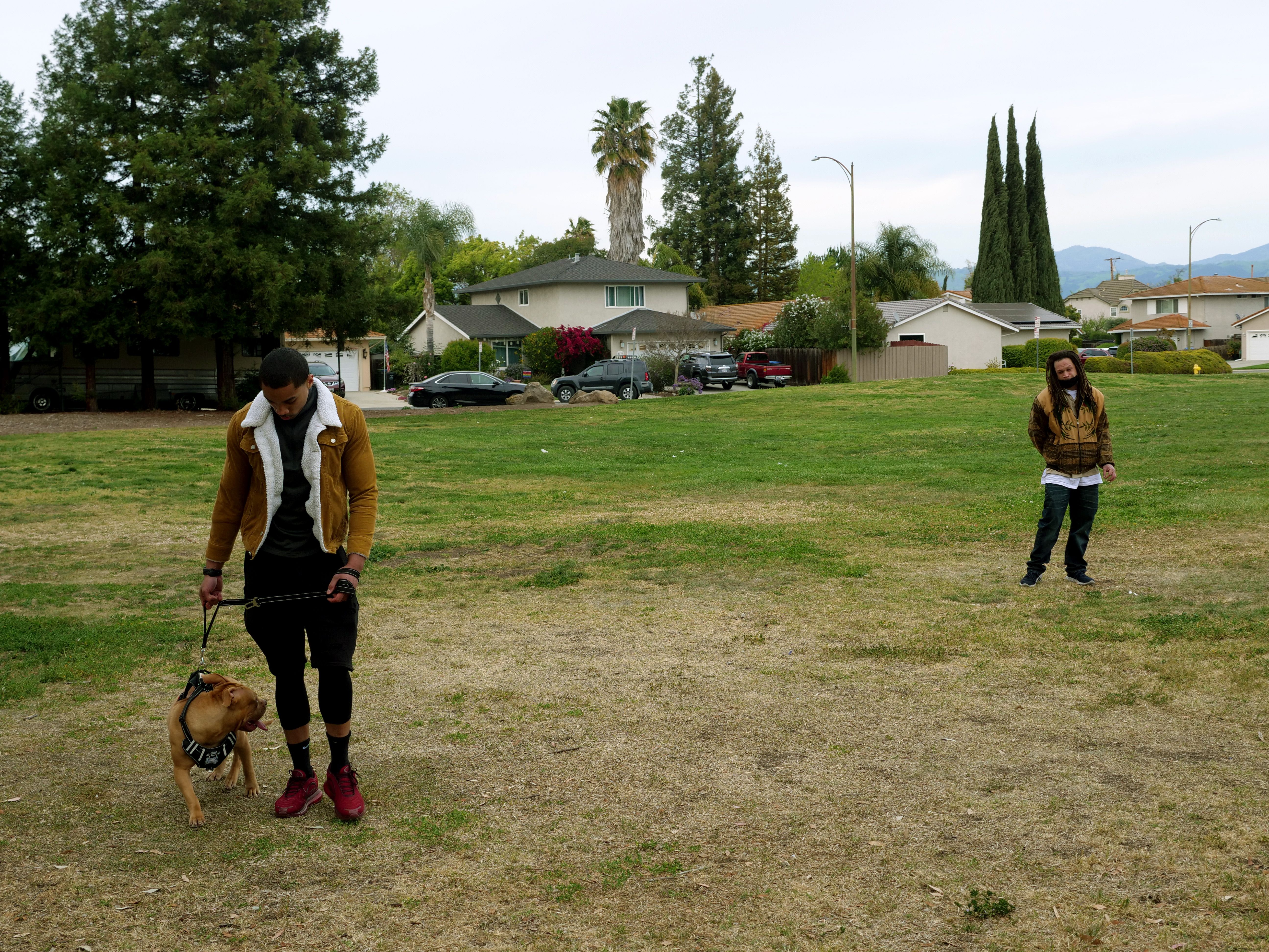 A Man Walking his Two Dogs · Free Stock Photo