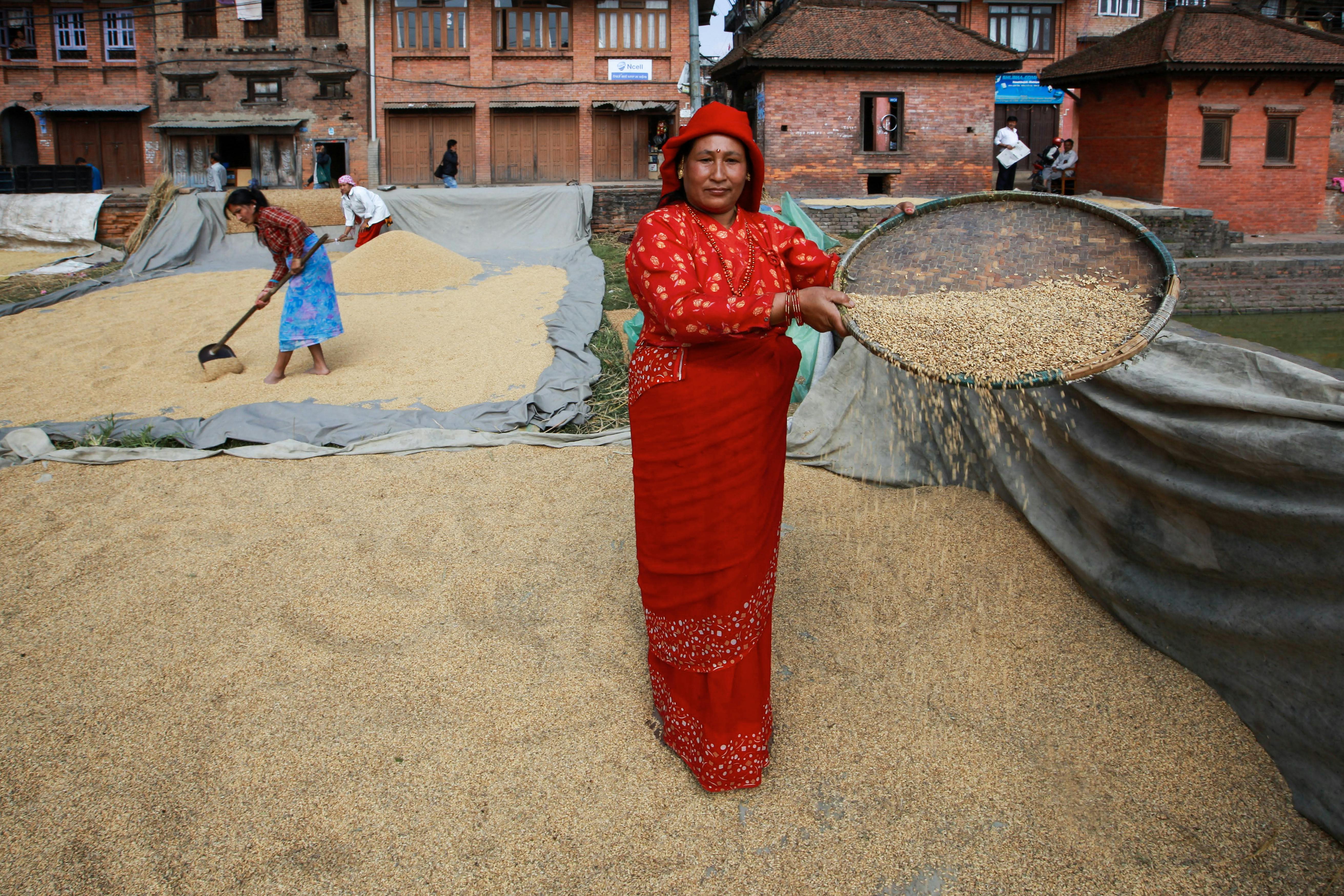 Photo of a Woman Sieving Grains · Free Stock Photo