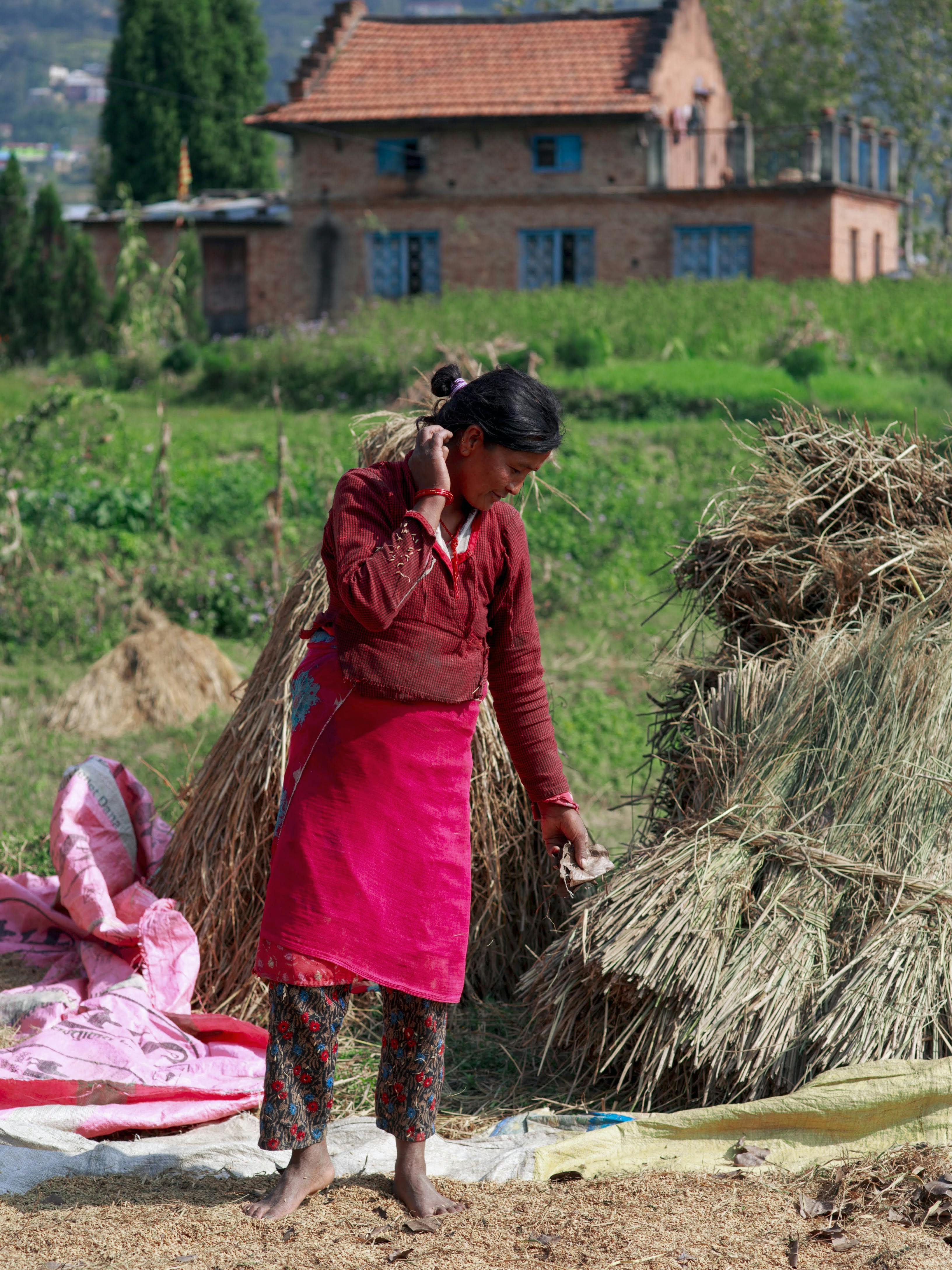 The Gcc Contries Photos, Download The BEST Free The Gcc Contries Stock ...