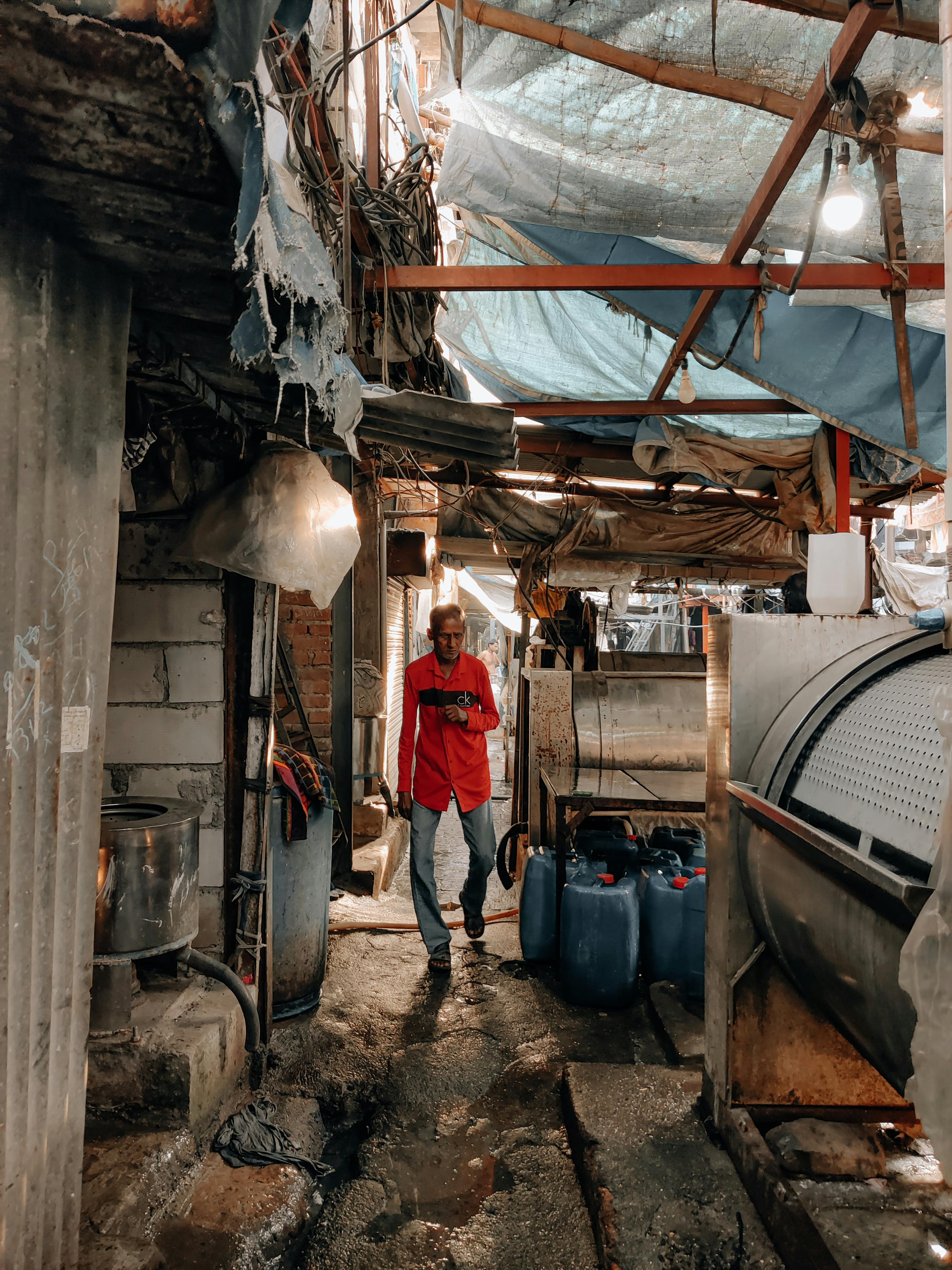 Dog in Decaying Ruins · Free Stock Photo