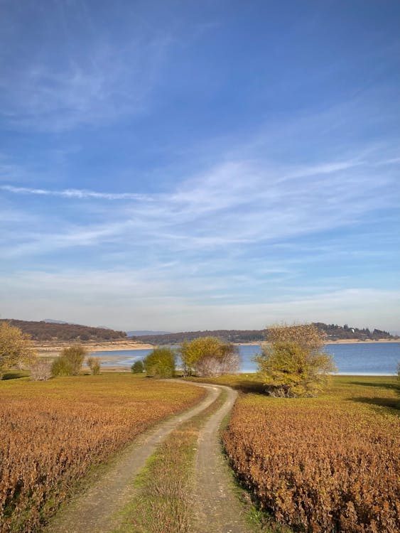 A Pathway On Green Grass Field Near Body Of Water Under Blue Sky · Free