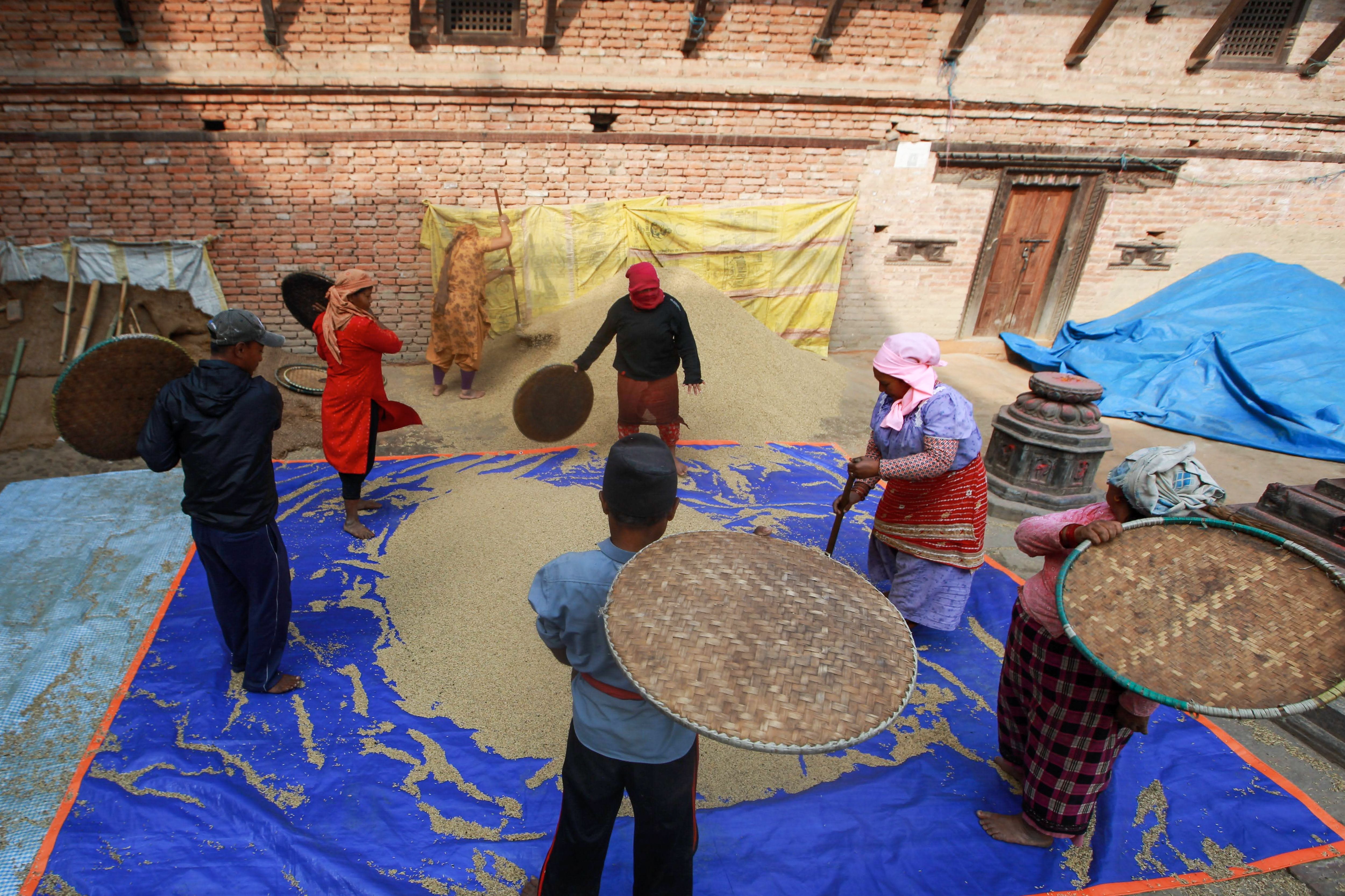 People Wearing Traditional Clothing Sifting Grain on a Yard · Free ...