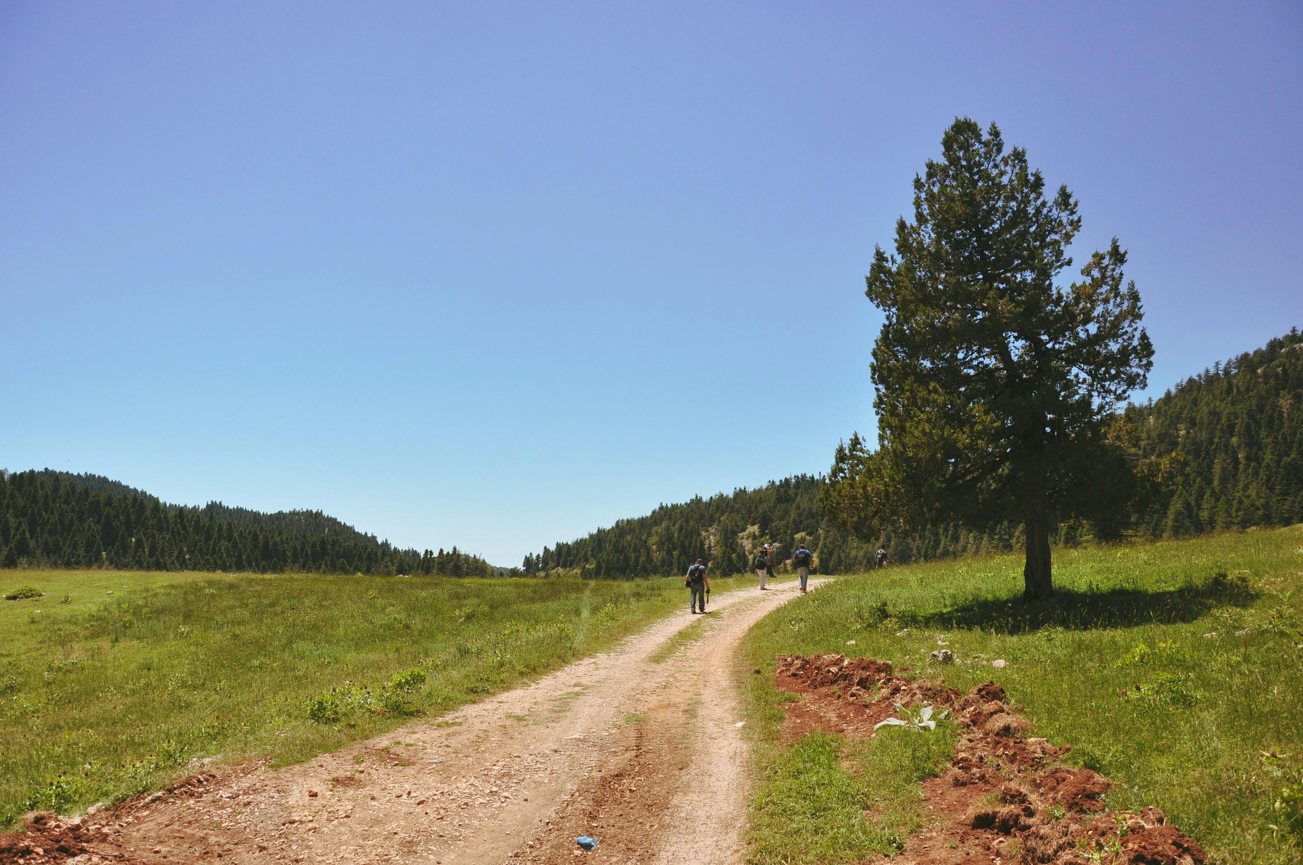 Men in Red Robe Walking on Unpaved Pathway · Free Stock Photo