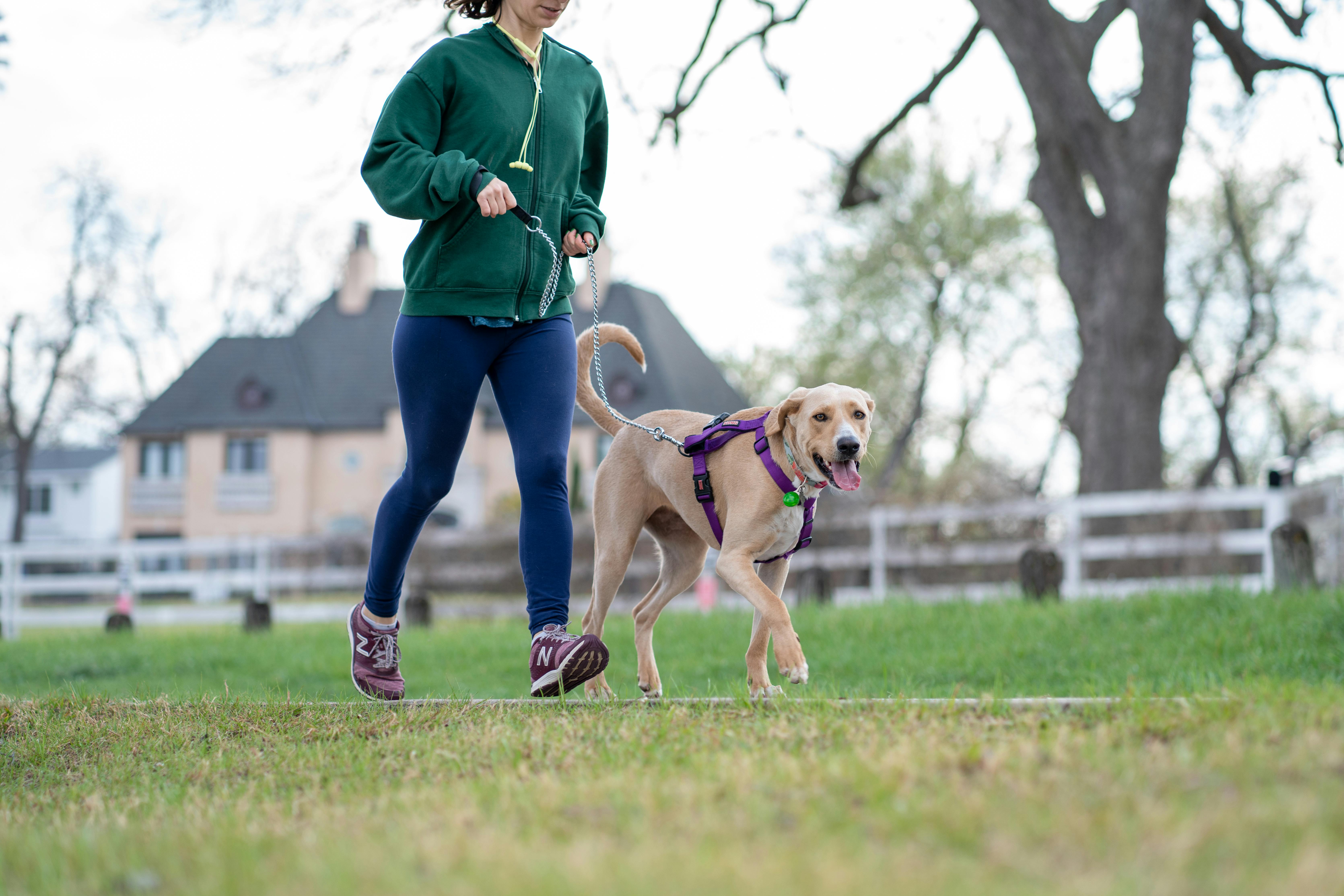 Photo of a Person Jogging with a Dog · Free Stock Photo