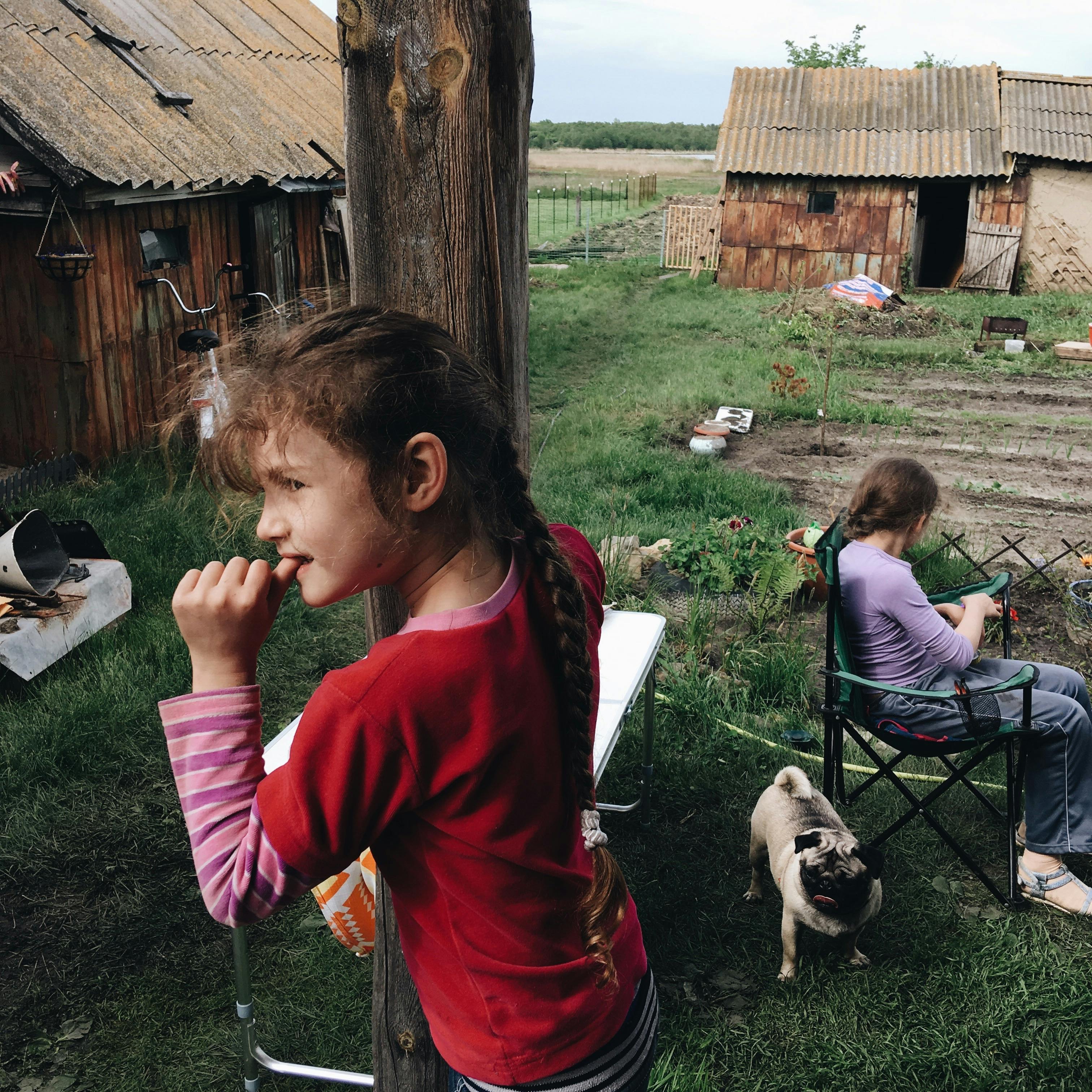 400+ Mops ปลาหมอสี Bilder und Fotos · Kostenlos Downloaden · Pexels ...