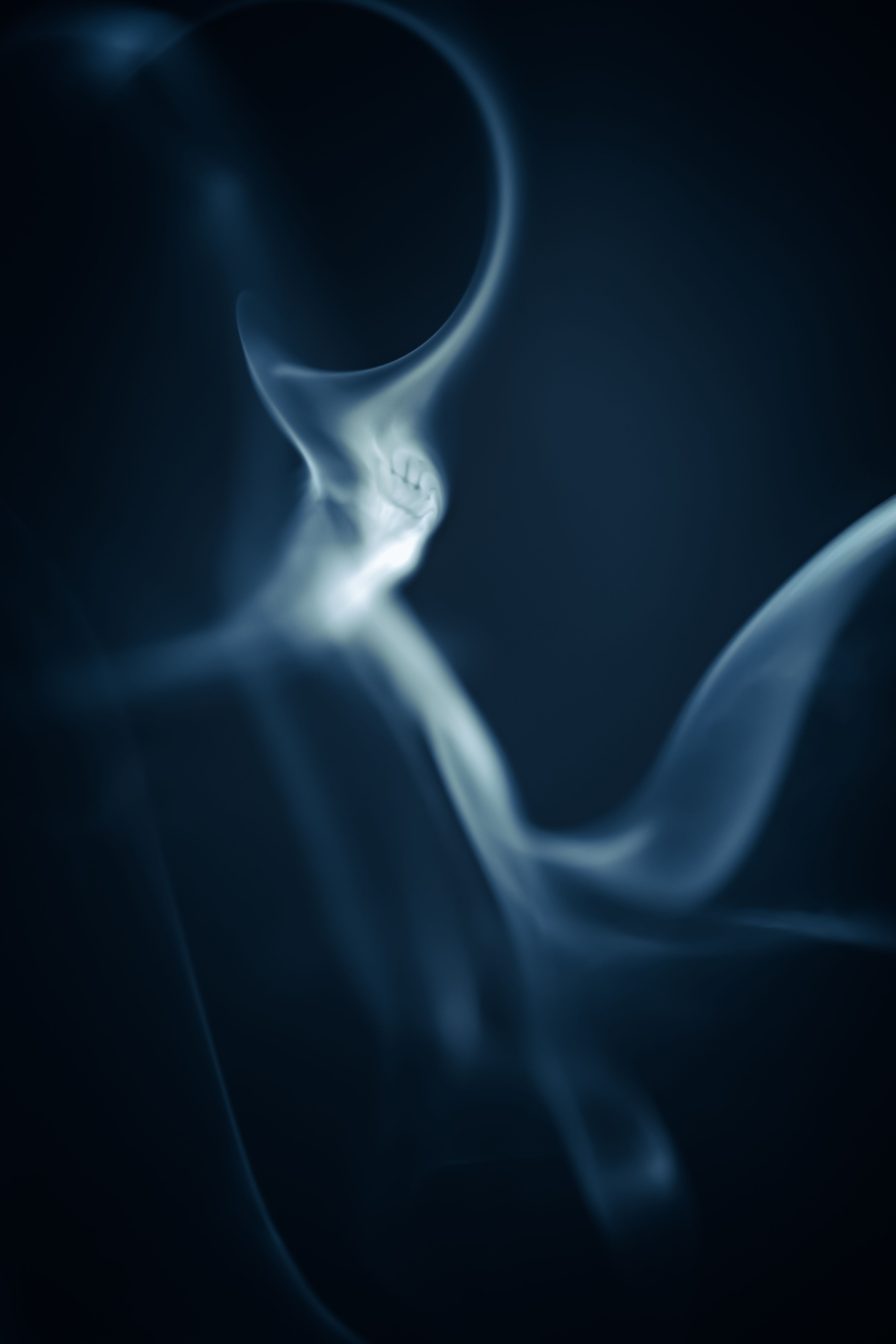 Grayscale Photo of Smoke in Close Up Photography · Free Stock Photo