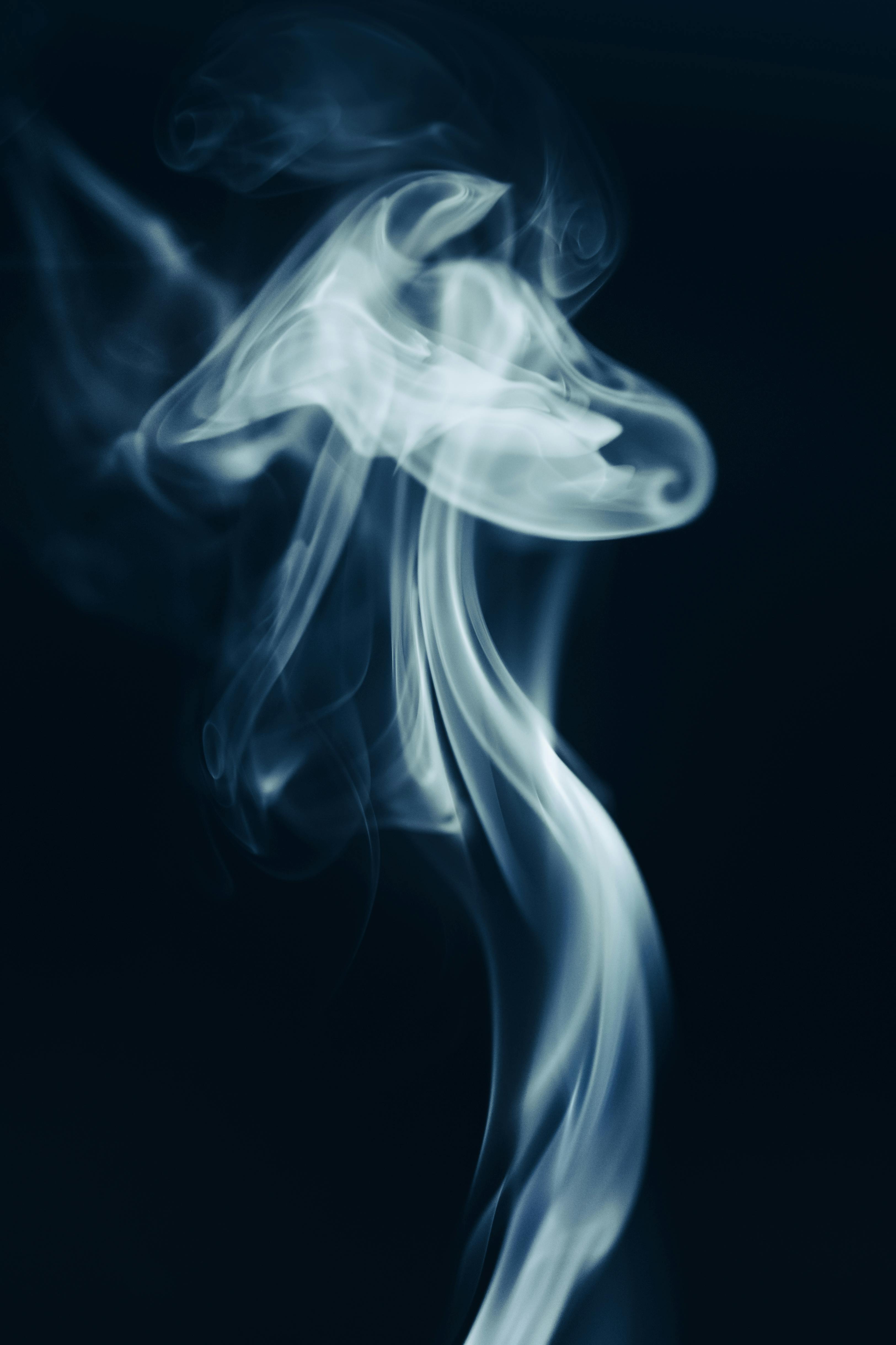 Photo of Smoke with a Black Background · Free Stock Photo