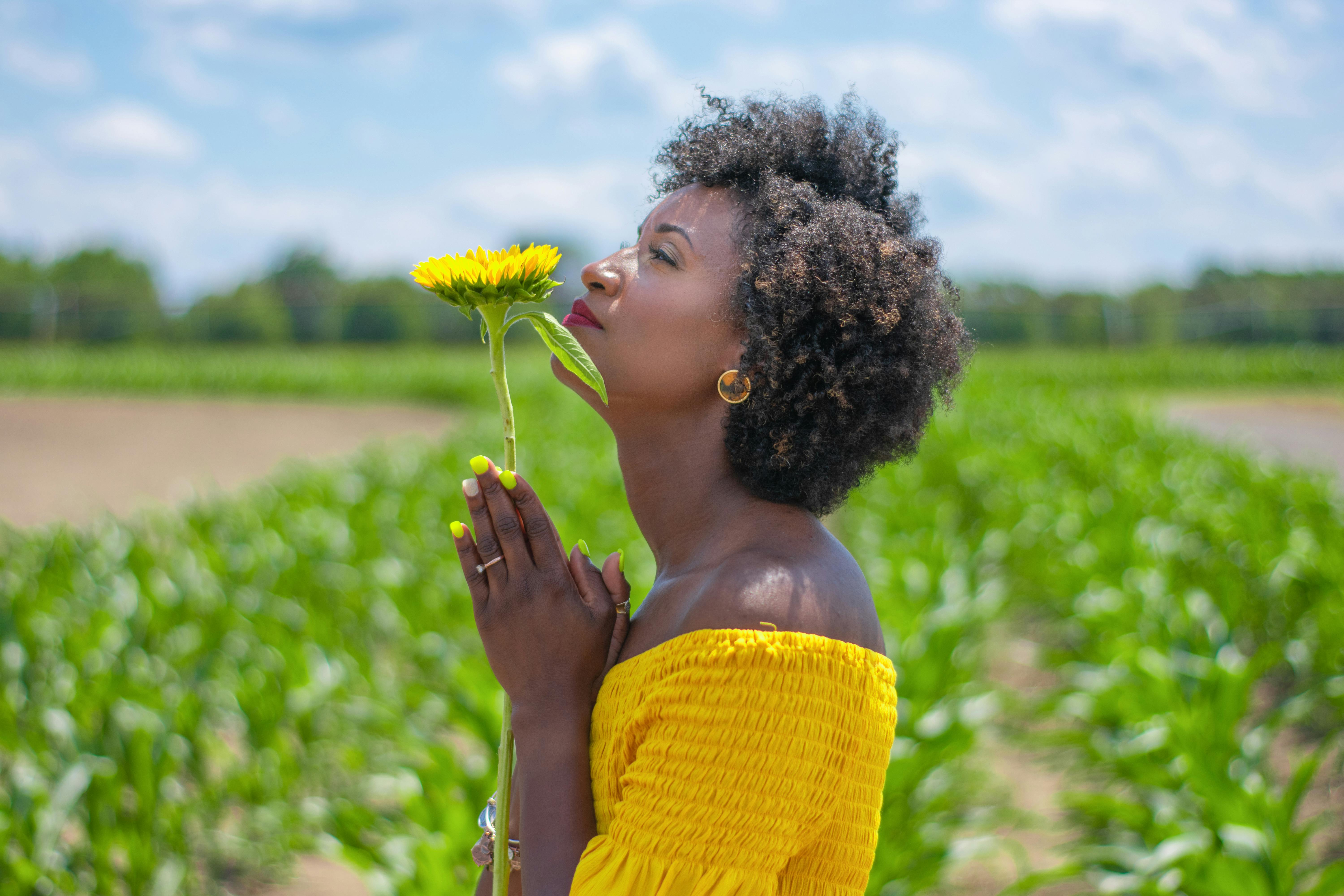 Linkedin Profile Background Software Developer Landscape Photos ...