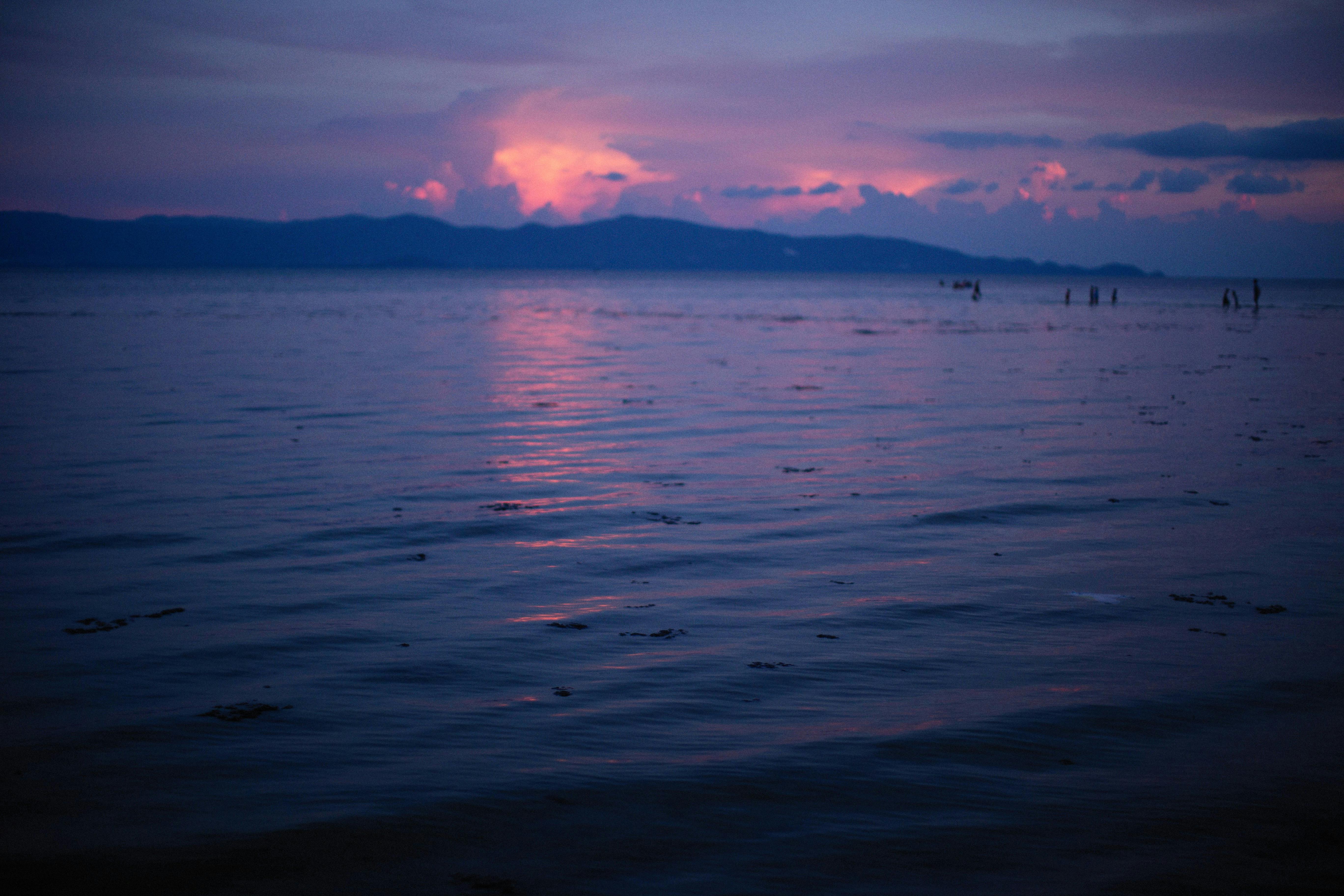 Pink Sunset above Water · Free Stock Photo