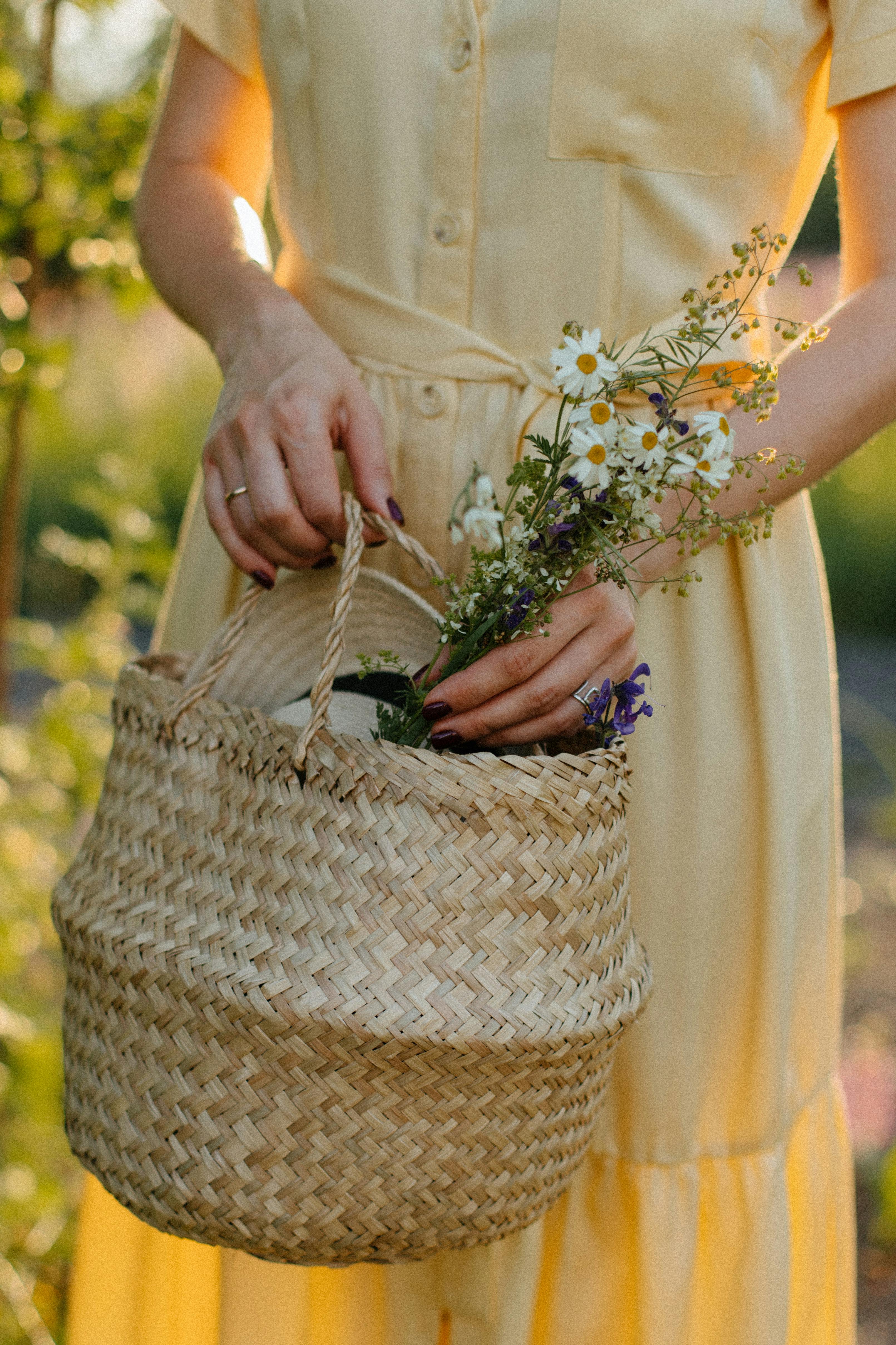 Woman Putting Flowers in Basket · Free Stock Photo