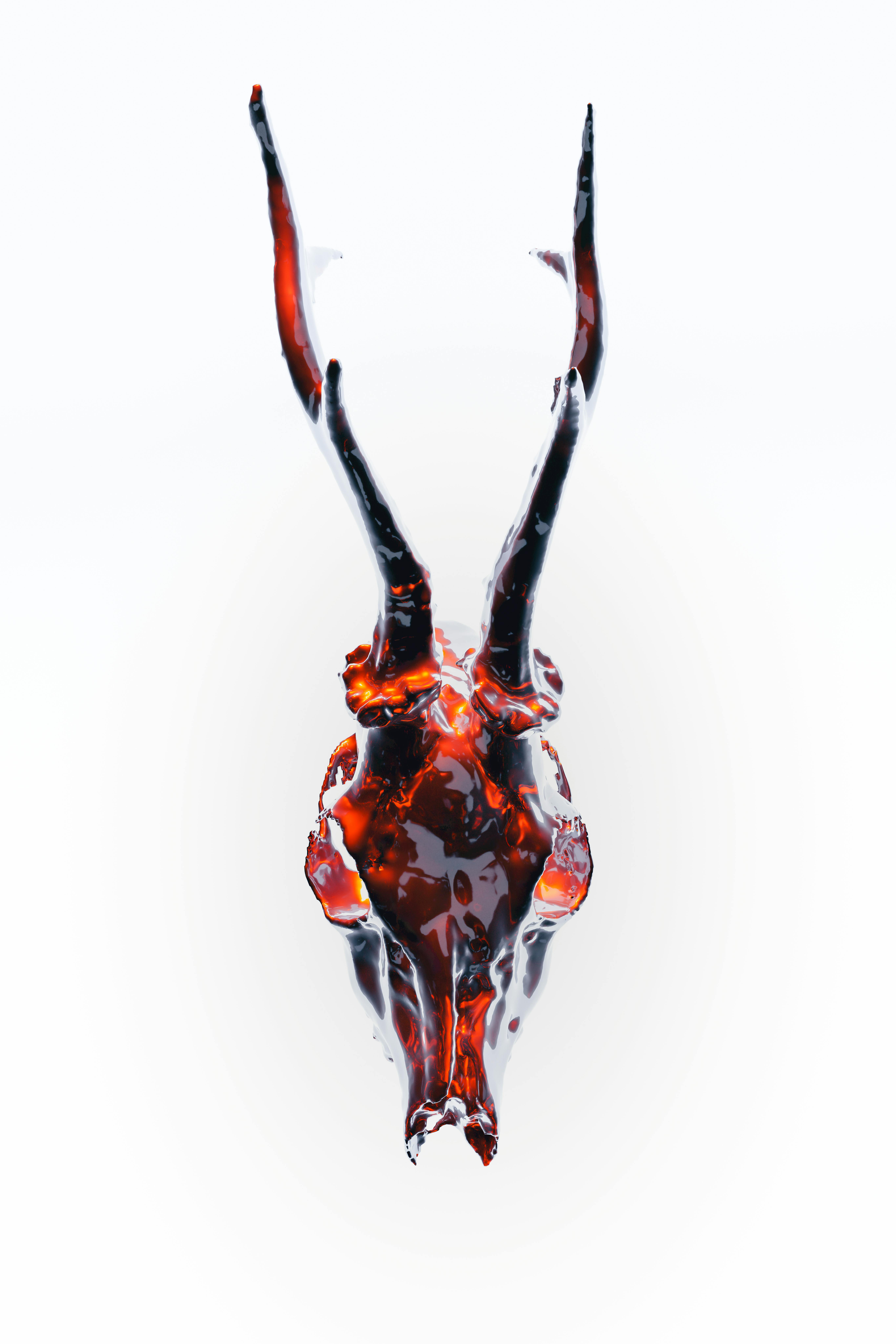 Bloody Head of Deer · Free Stock Photo