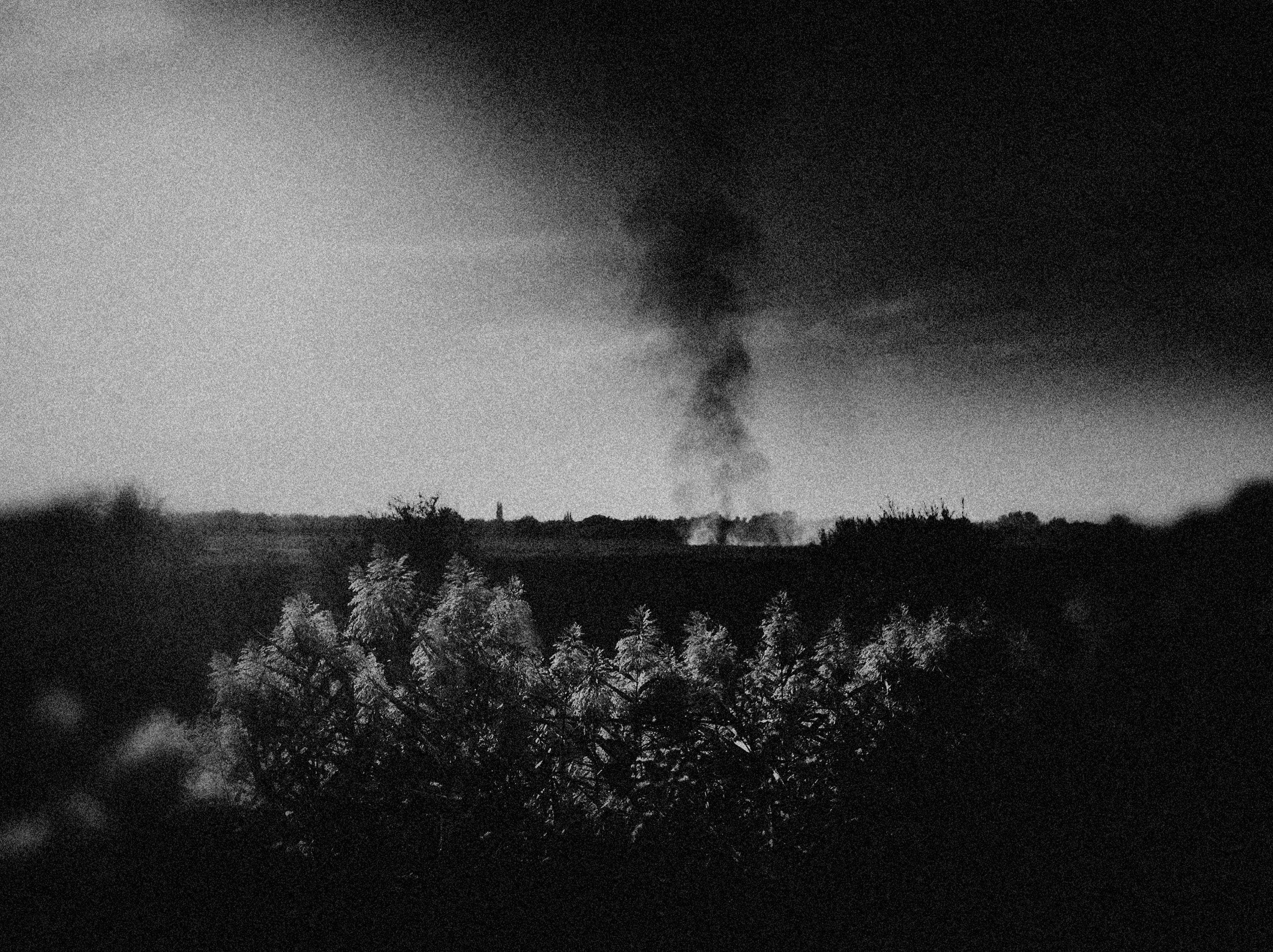 Grayscale Photography of Burning Field · Free Stock Photo