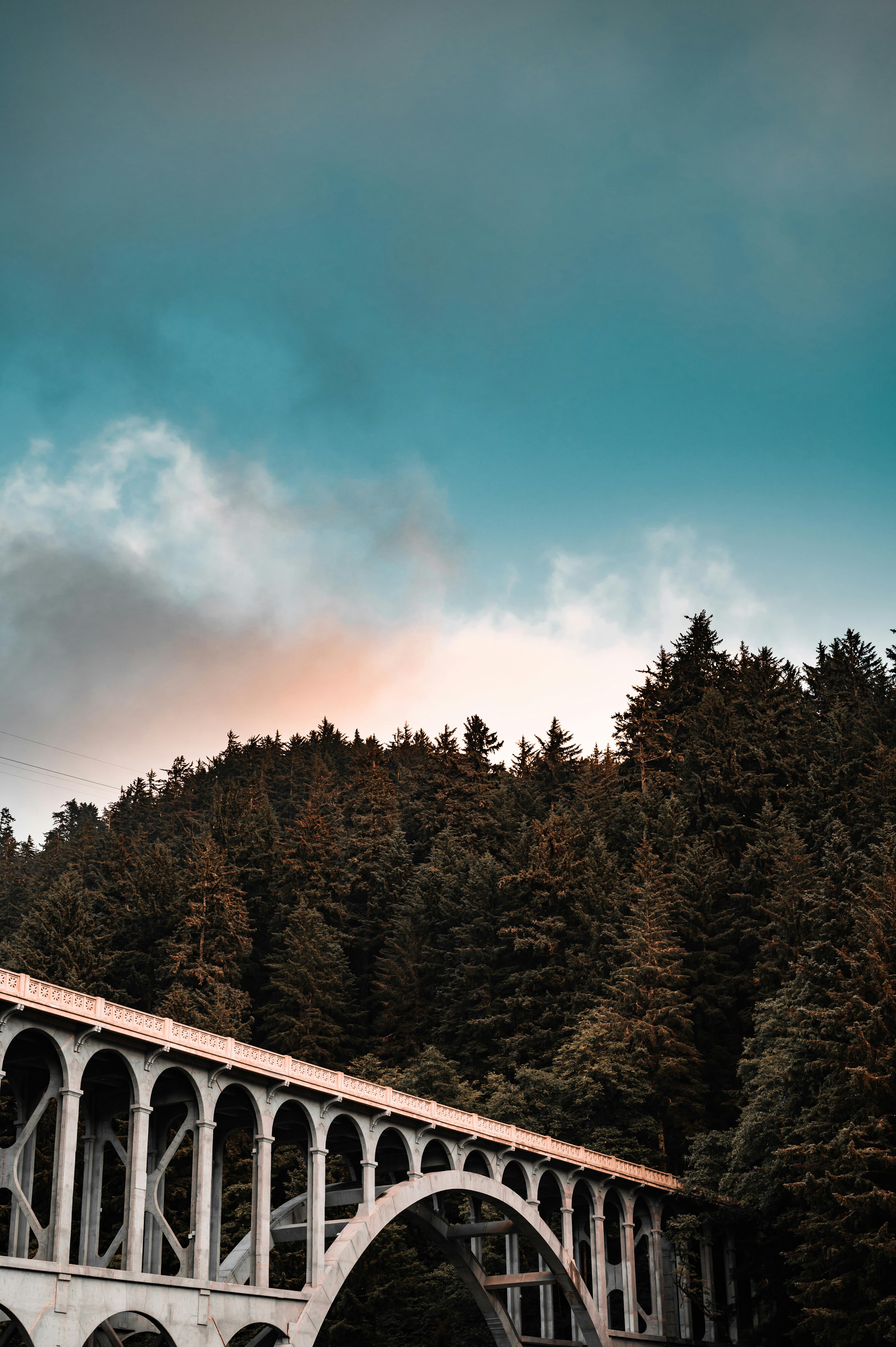 Hanging Bridge · Free Stock Photo