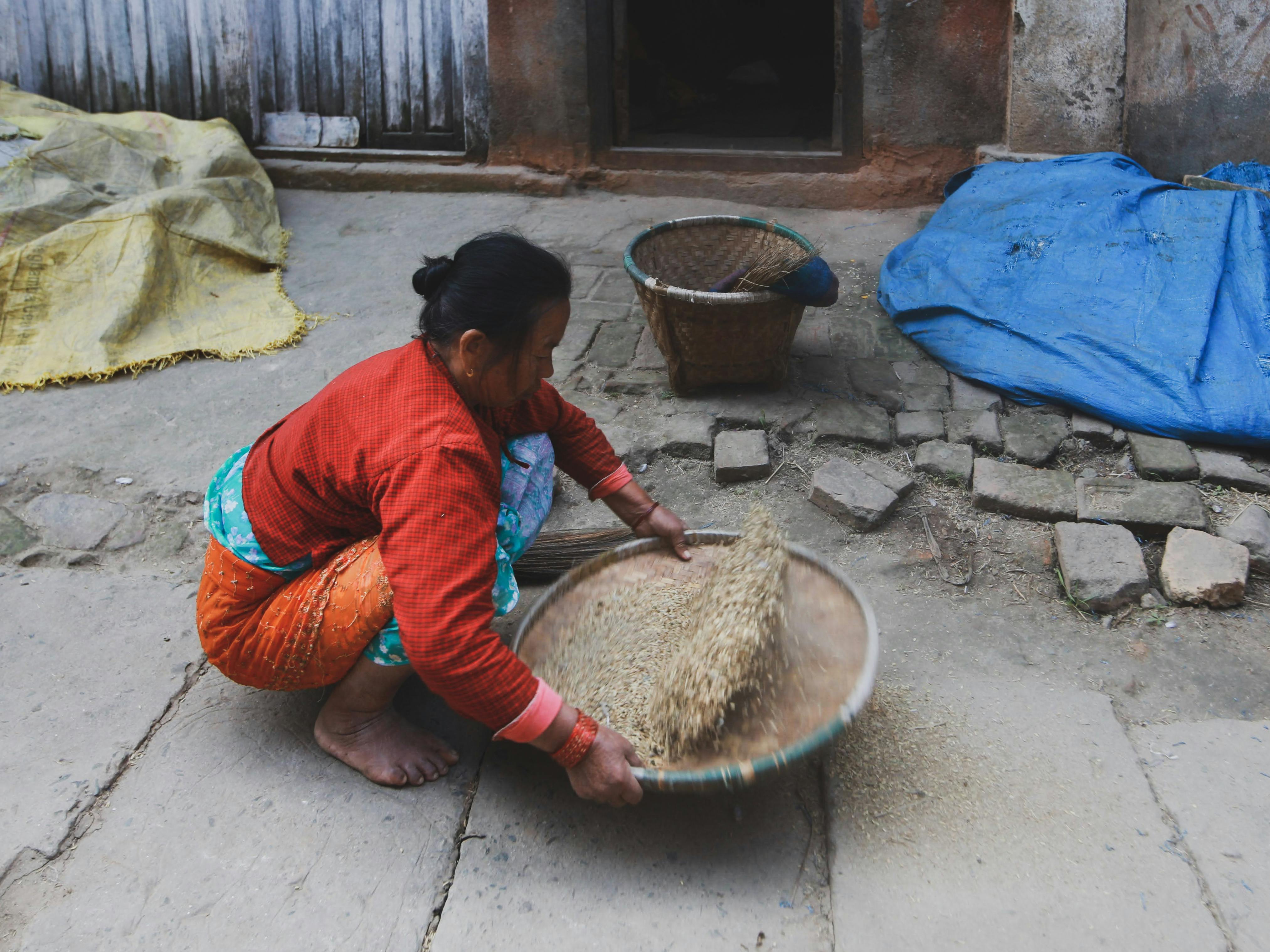 Woman Drying Grain · Free Stock Photo