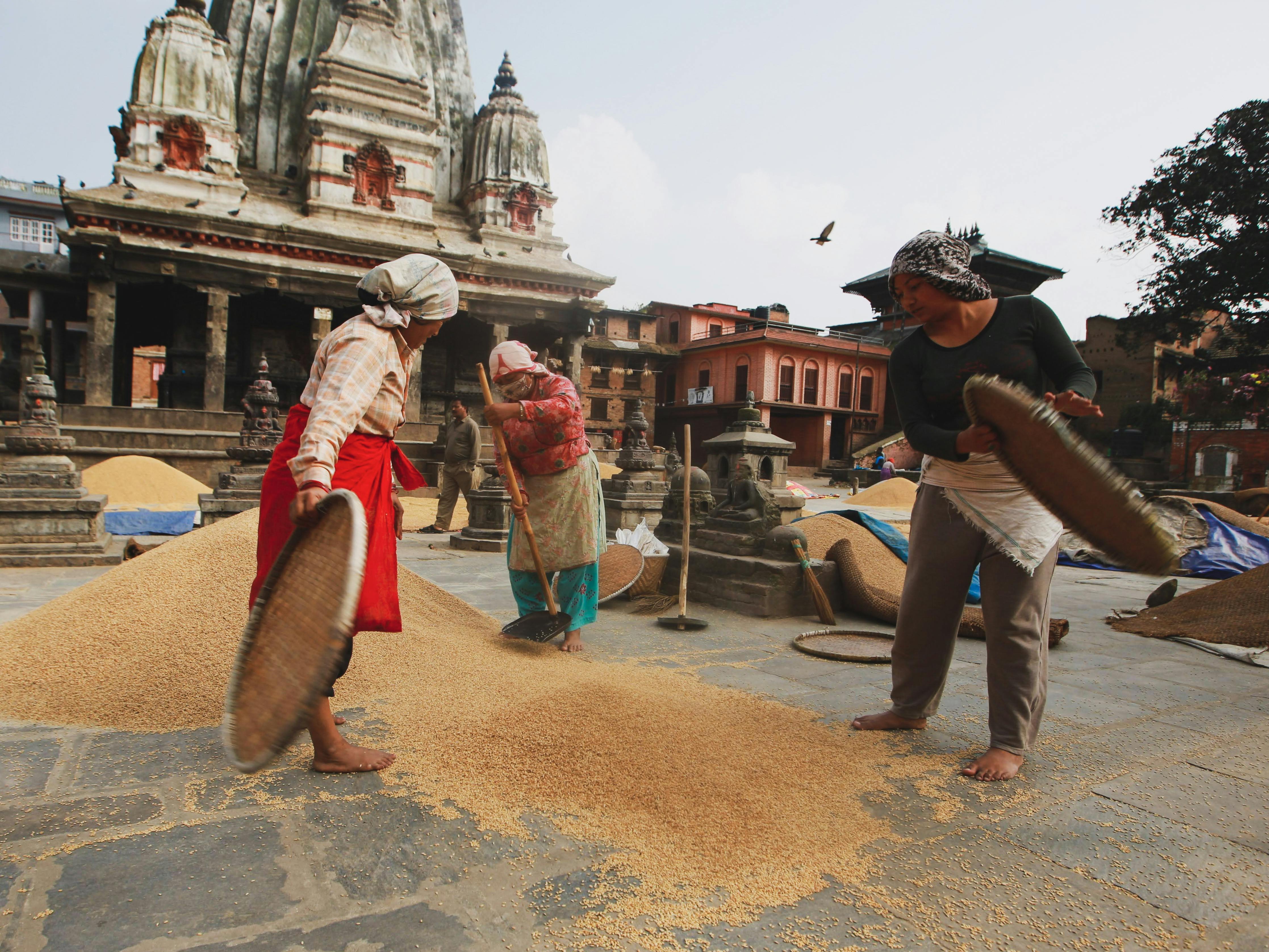 Group of Women Drying Grains on Concrete Ground · Free Stock Photo