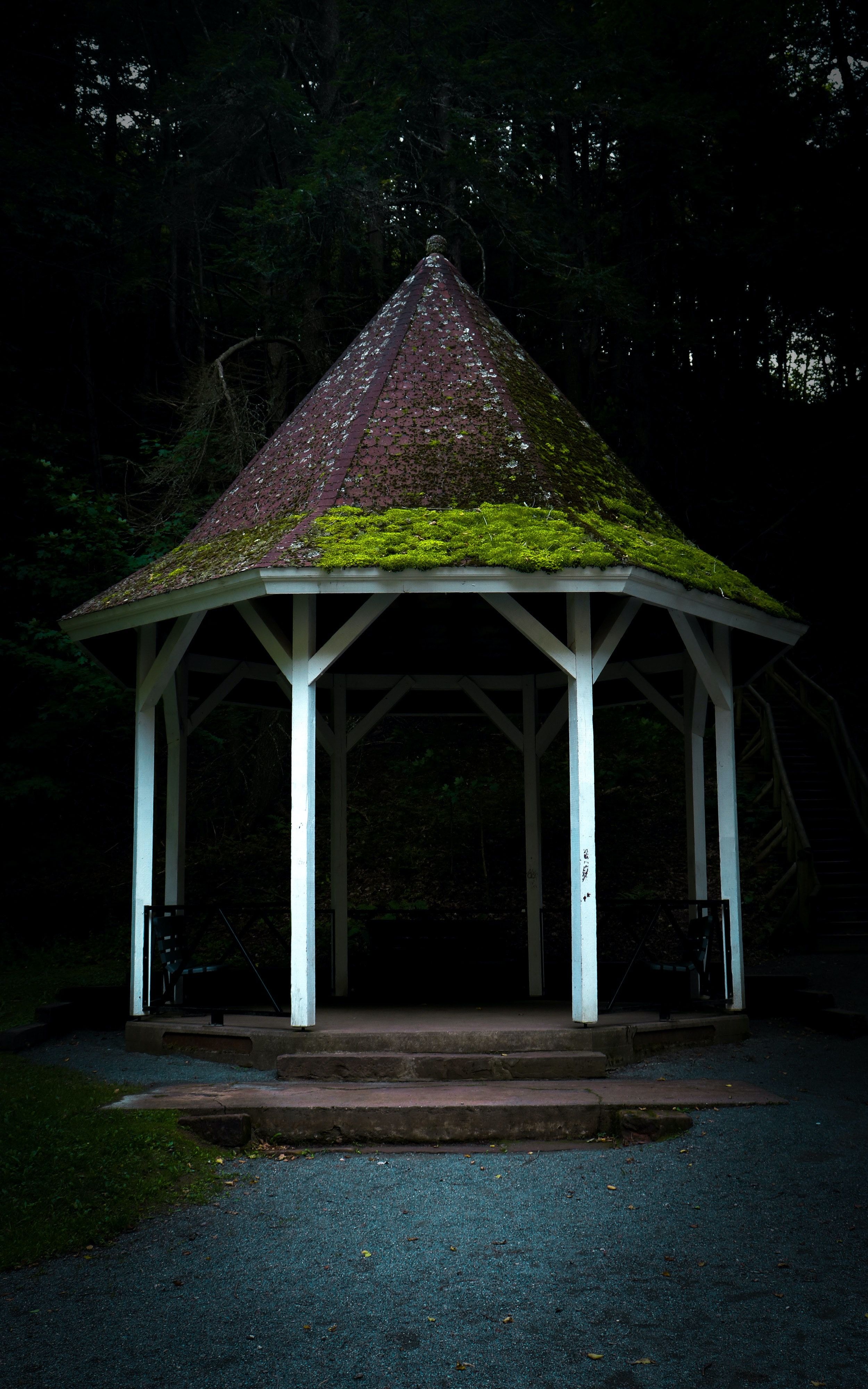 Gazebo with Moss on the Roof · Free Stock Photo