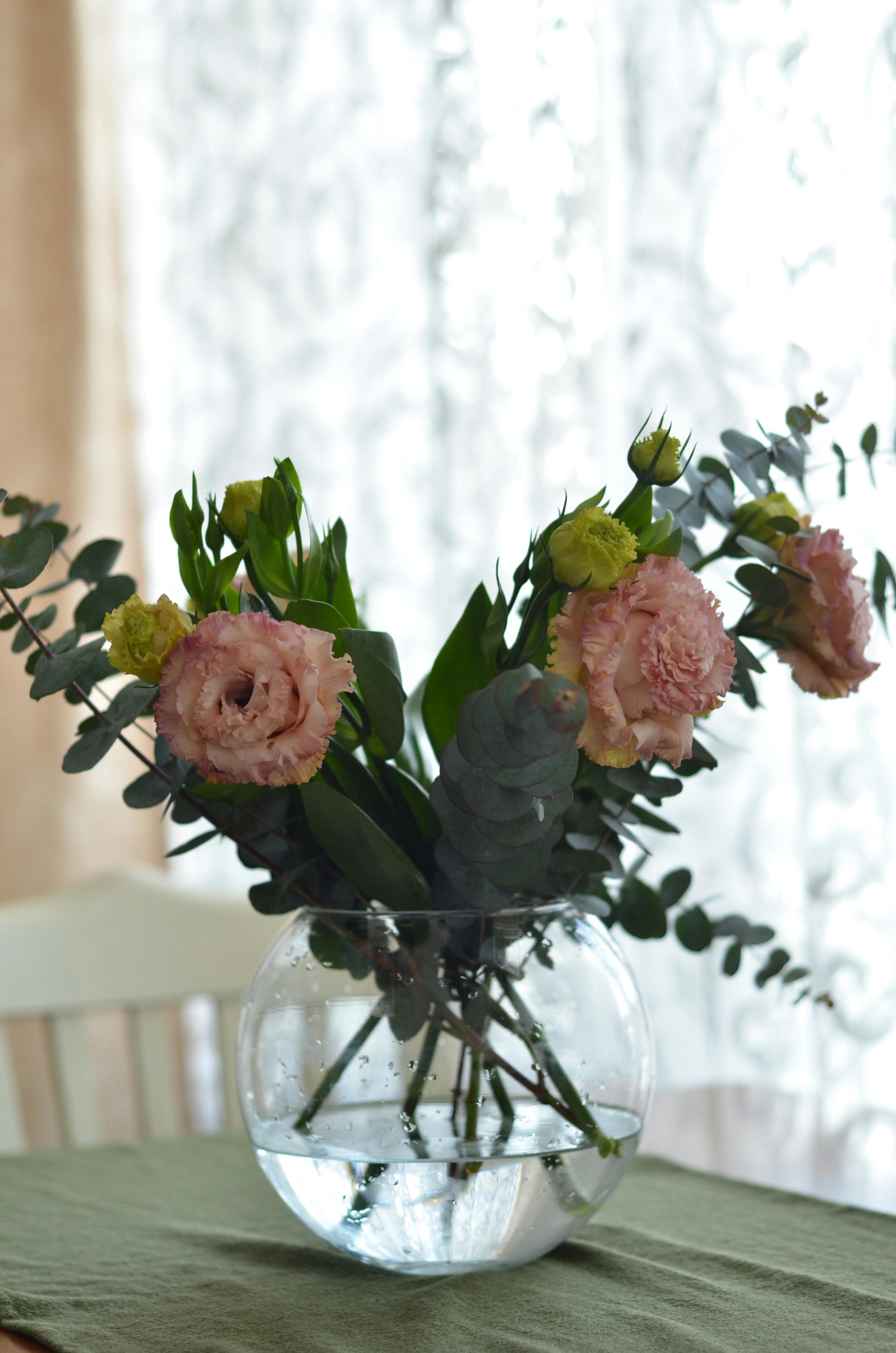 A Rose in a Glass Vase · Free Stock Photo