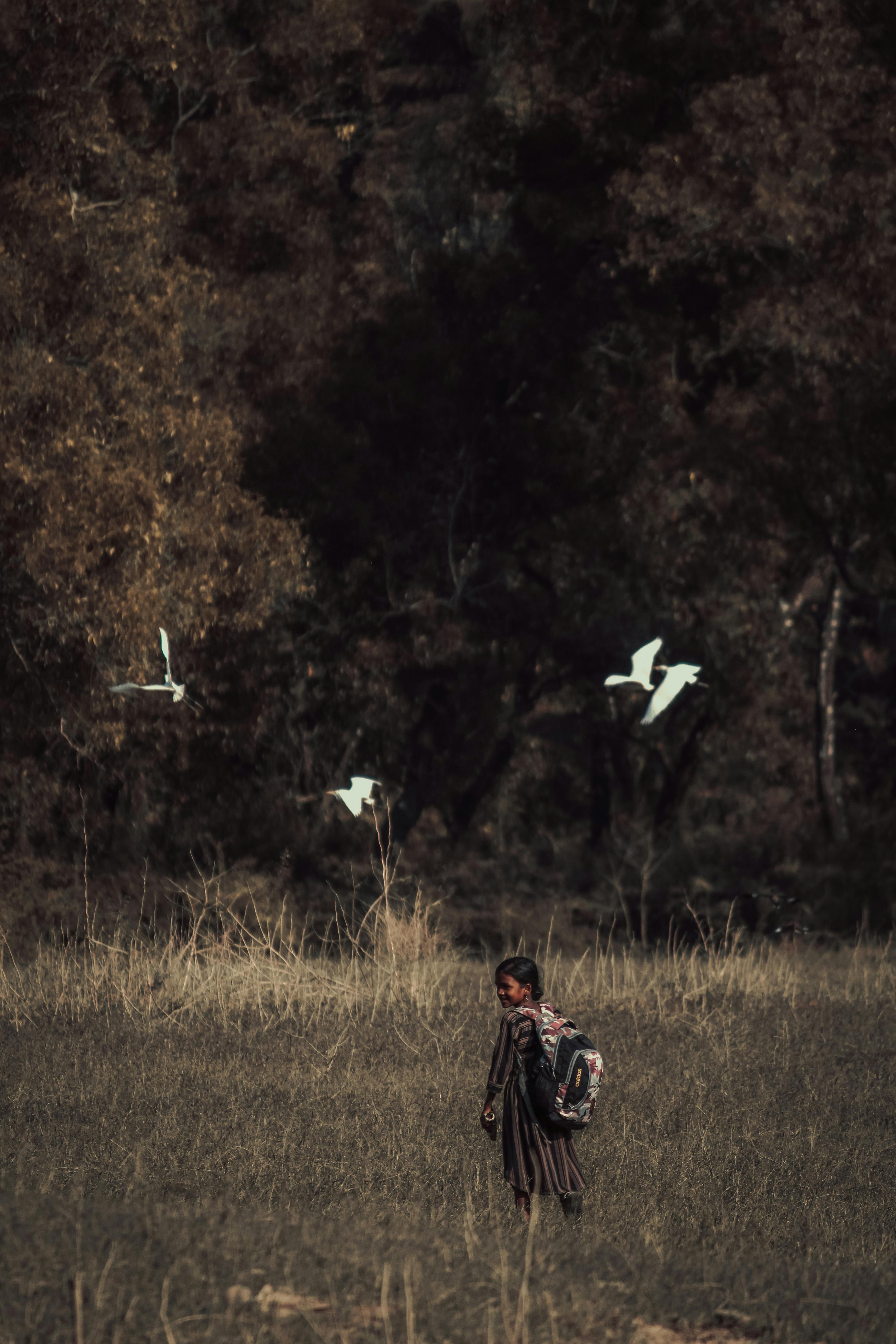 A Child Standing on the Grass with Flying Birds · Free Stock Photo
