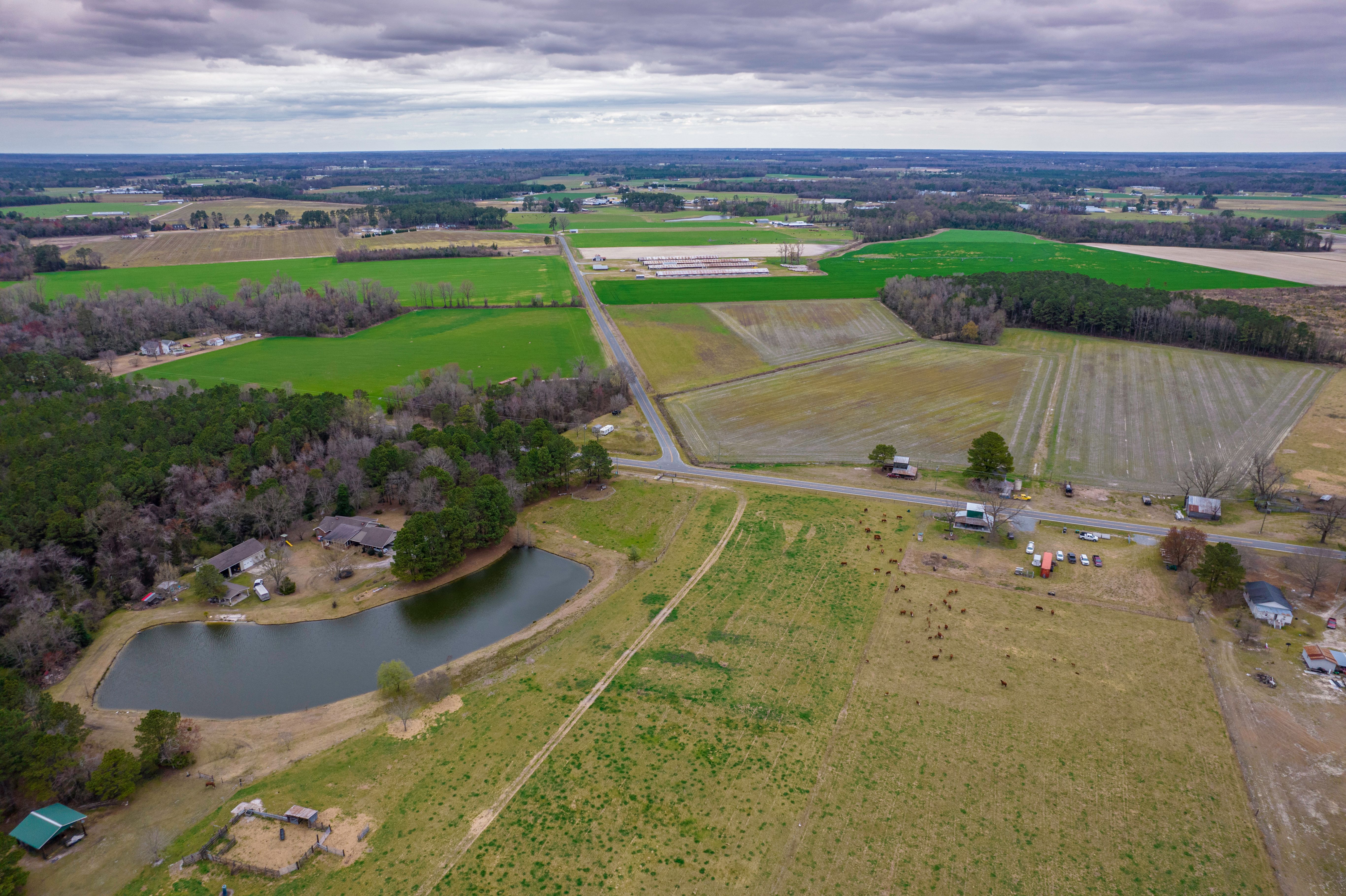 Aerial View of a Farmland · Free Stock Photo