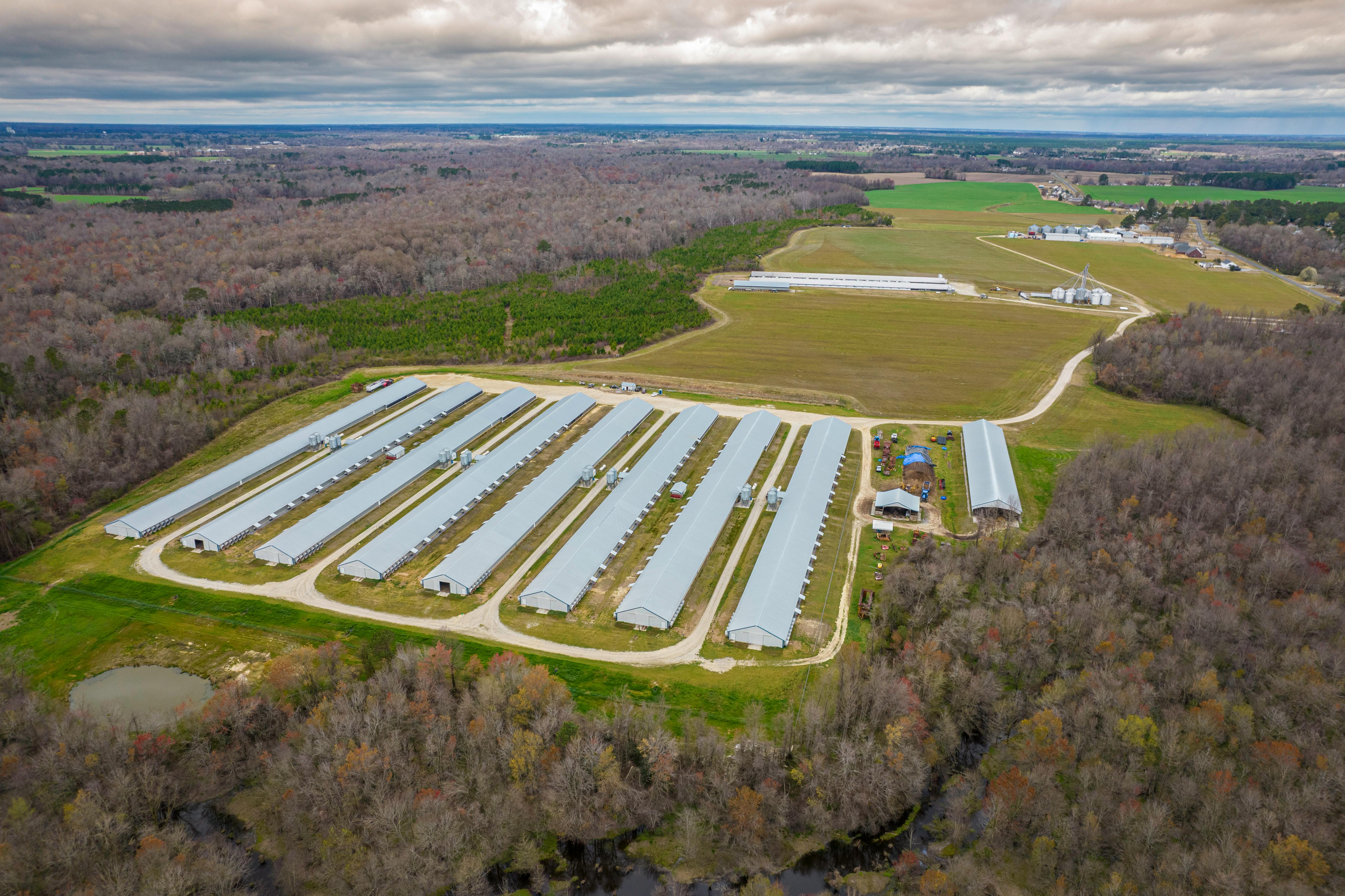 Aerial View of Agricultural Land · Free Stock Photo