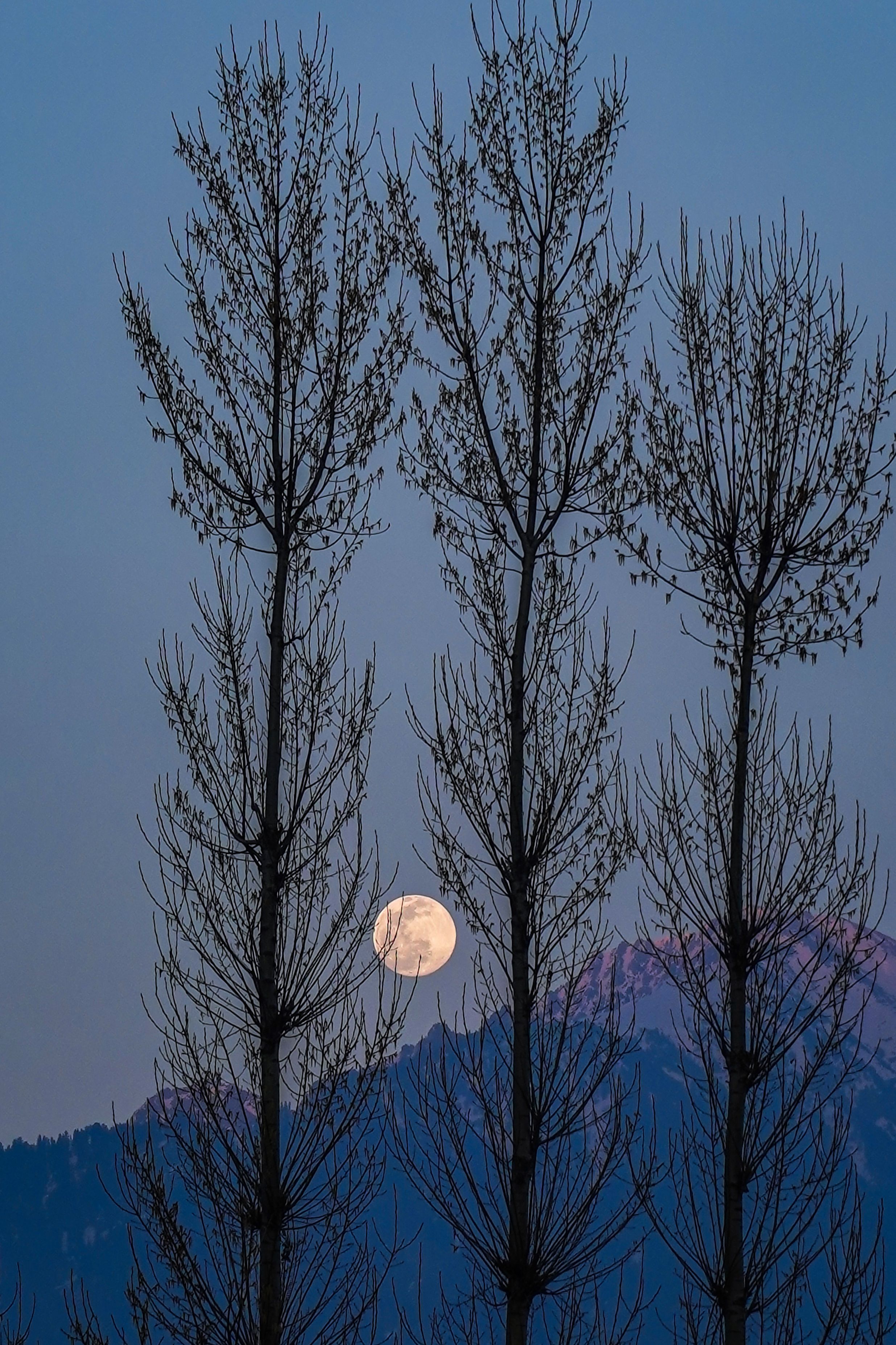 Moon Above Mountains Beside Bare Trees Under Blue Sky · Free Stock Photo