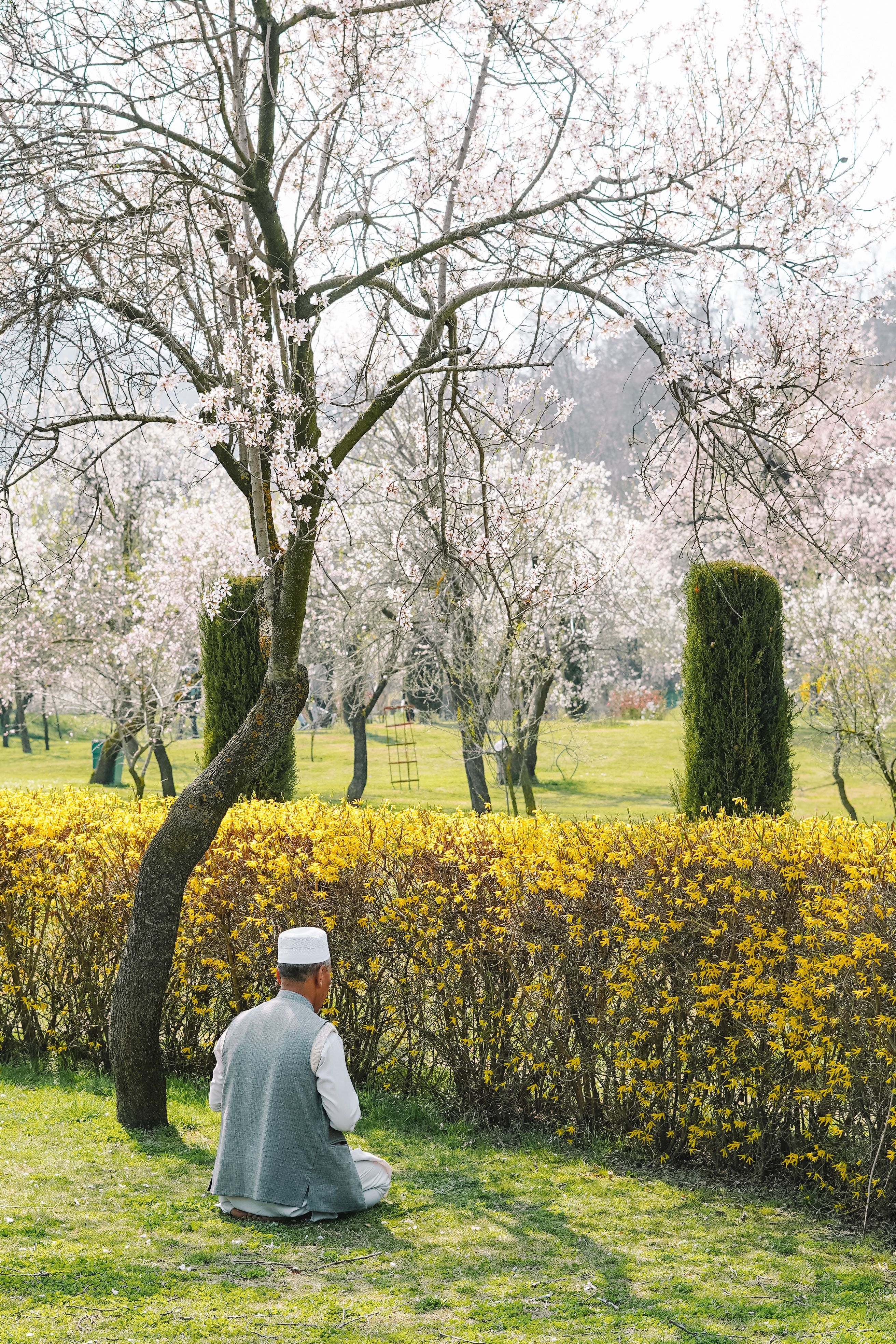 Man in White Long Sleeve Shirt Sitting Under a Tree Praying · Free ...