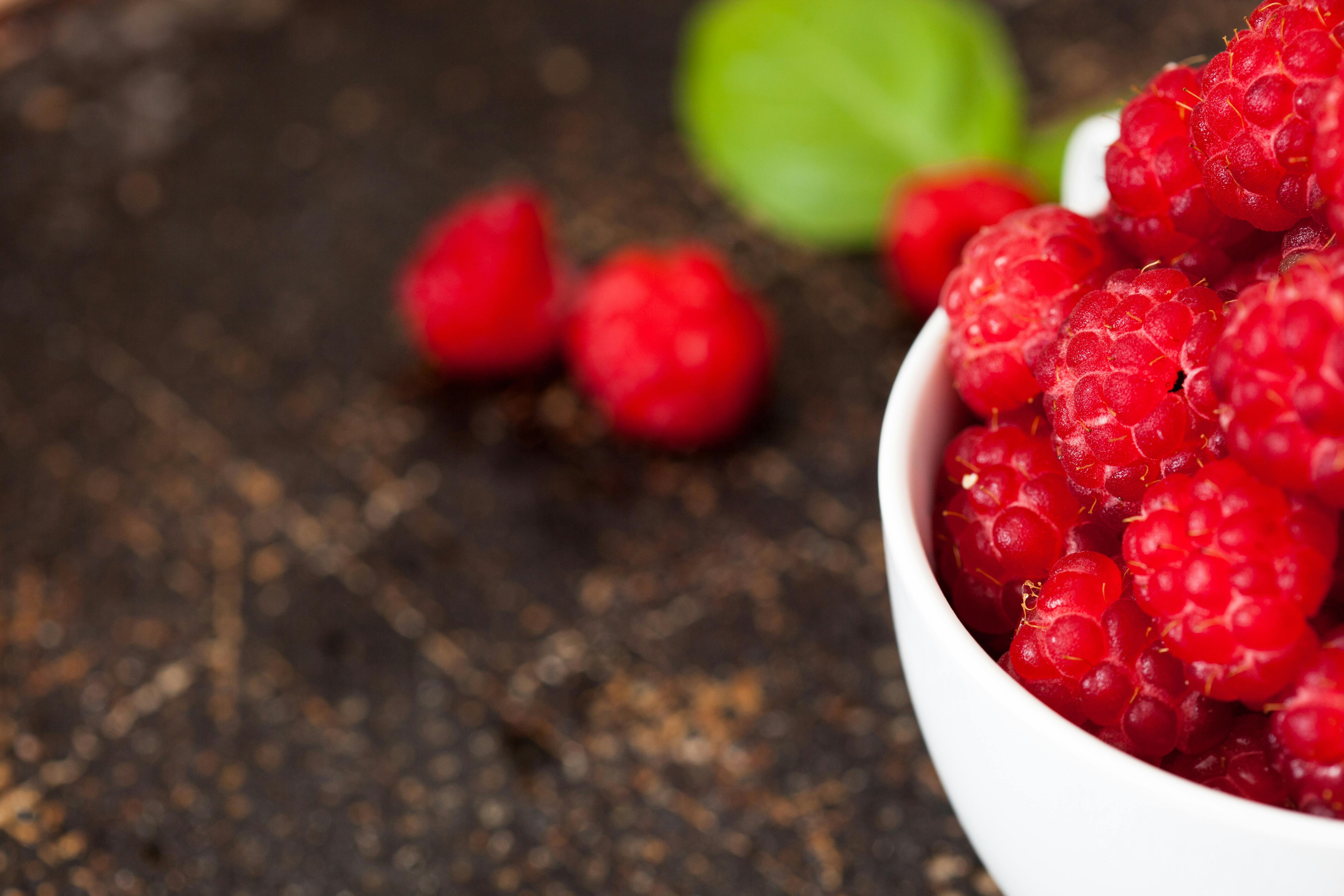 Free stock photo of raspberries, raspberry