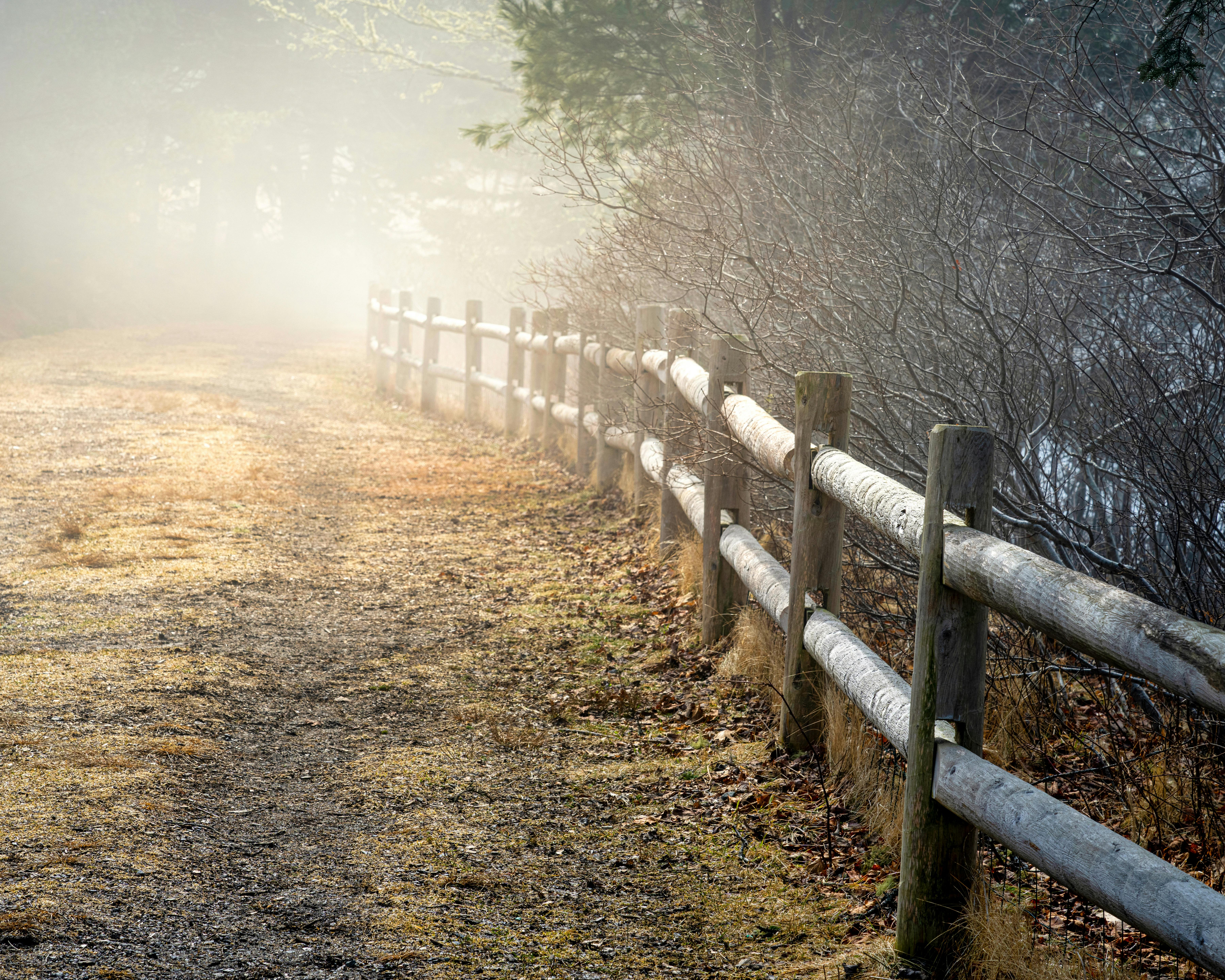 Brown Grassland and Wooden Fence on a Foggy Day · Free Stock Photo