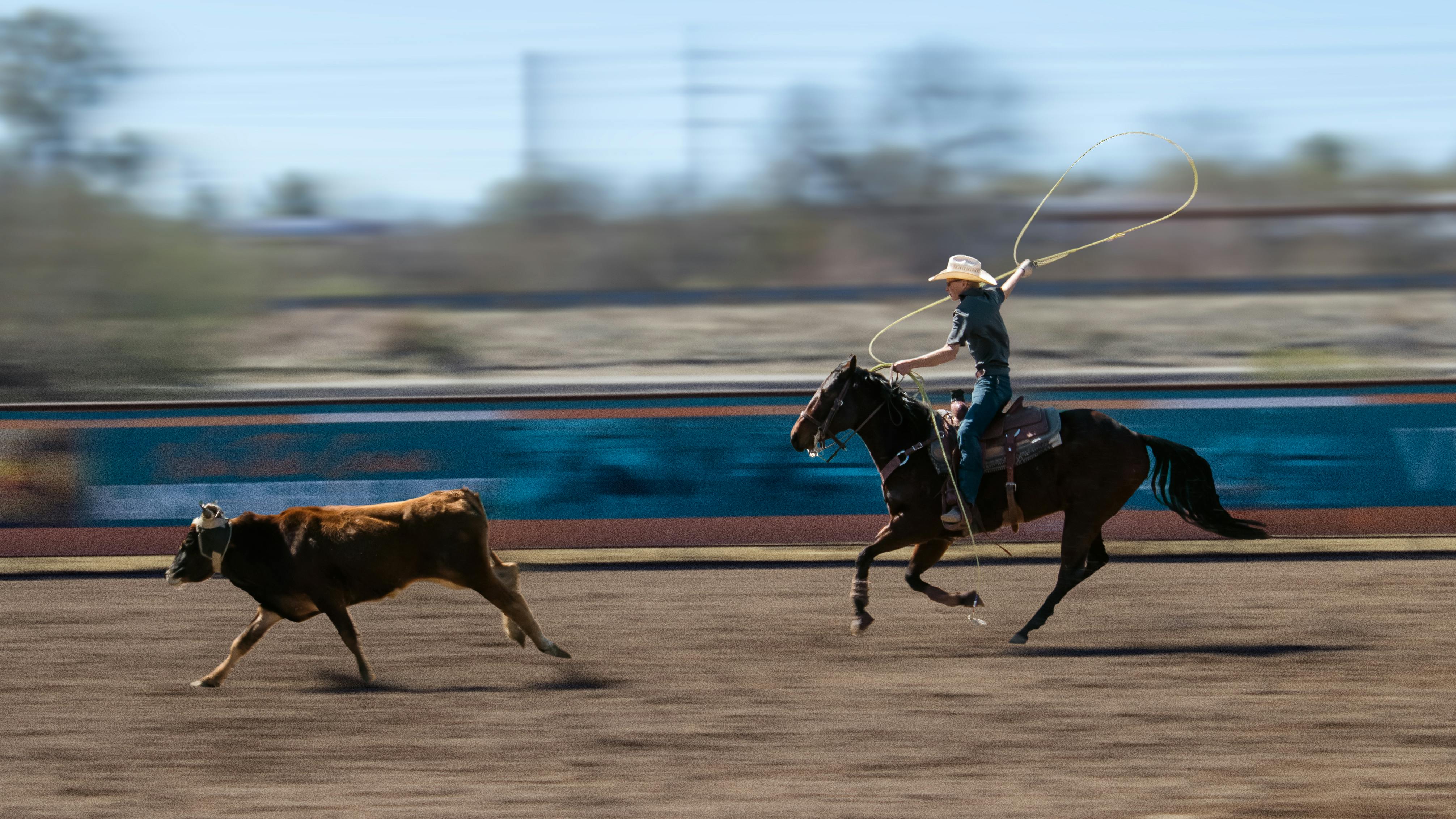 20+ Best Free Lasso Stock Photos & Images · 100% Royalty-Free HD Downloads