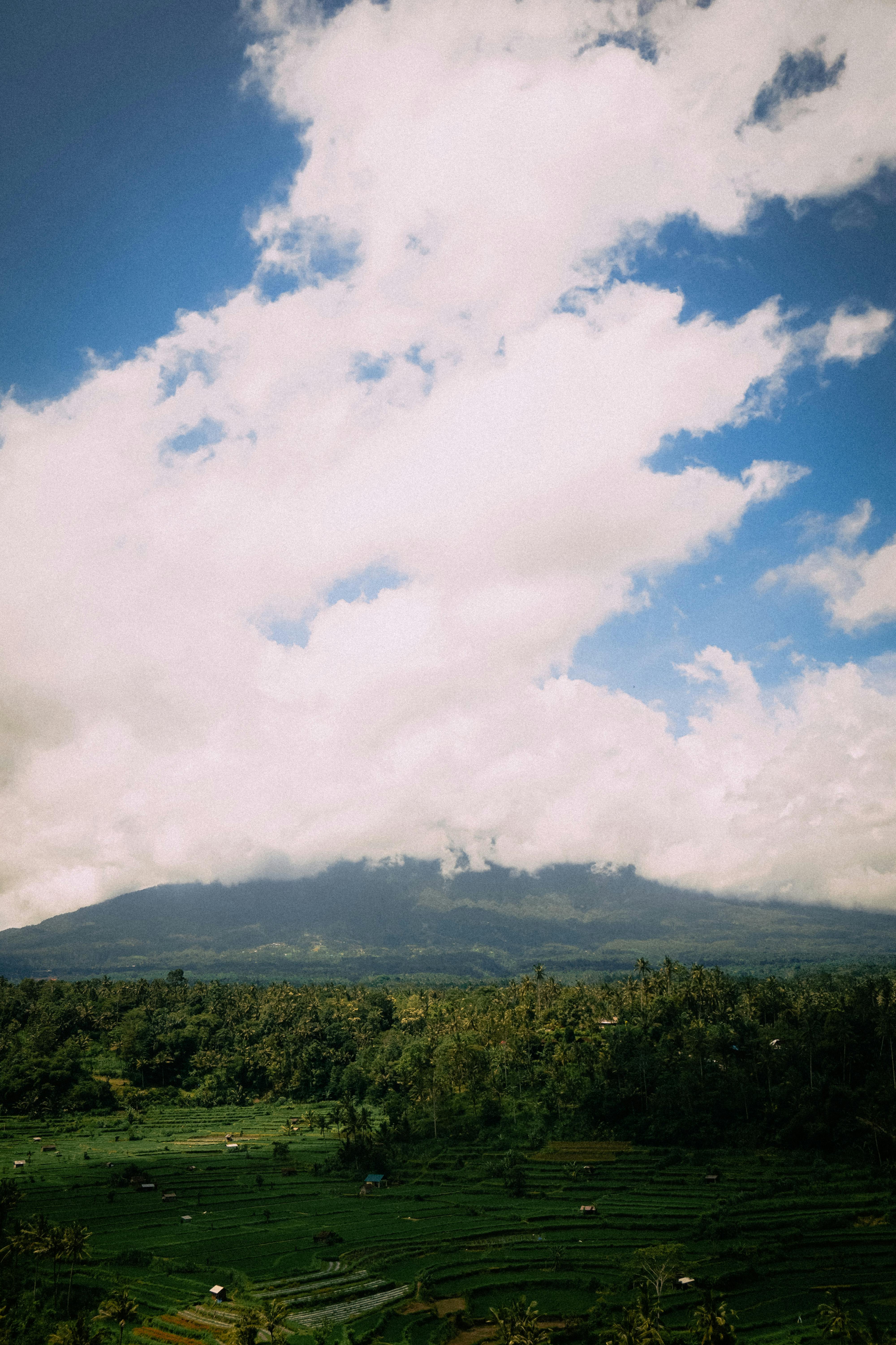 Cloud on Sky over Forest · Free Stock Photo