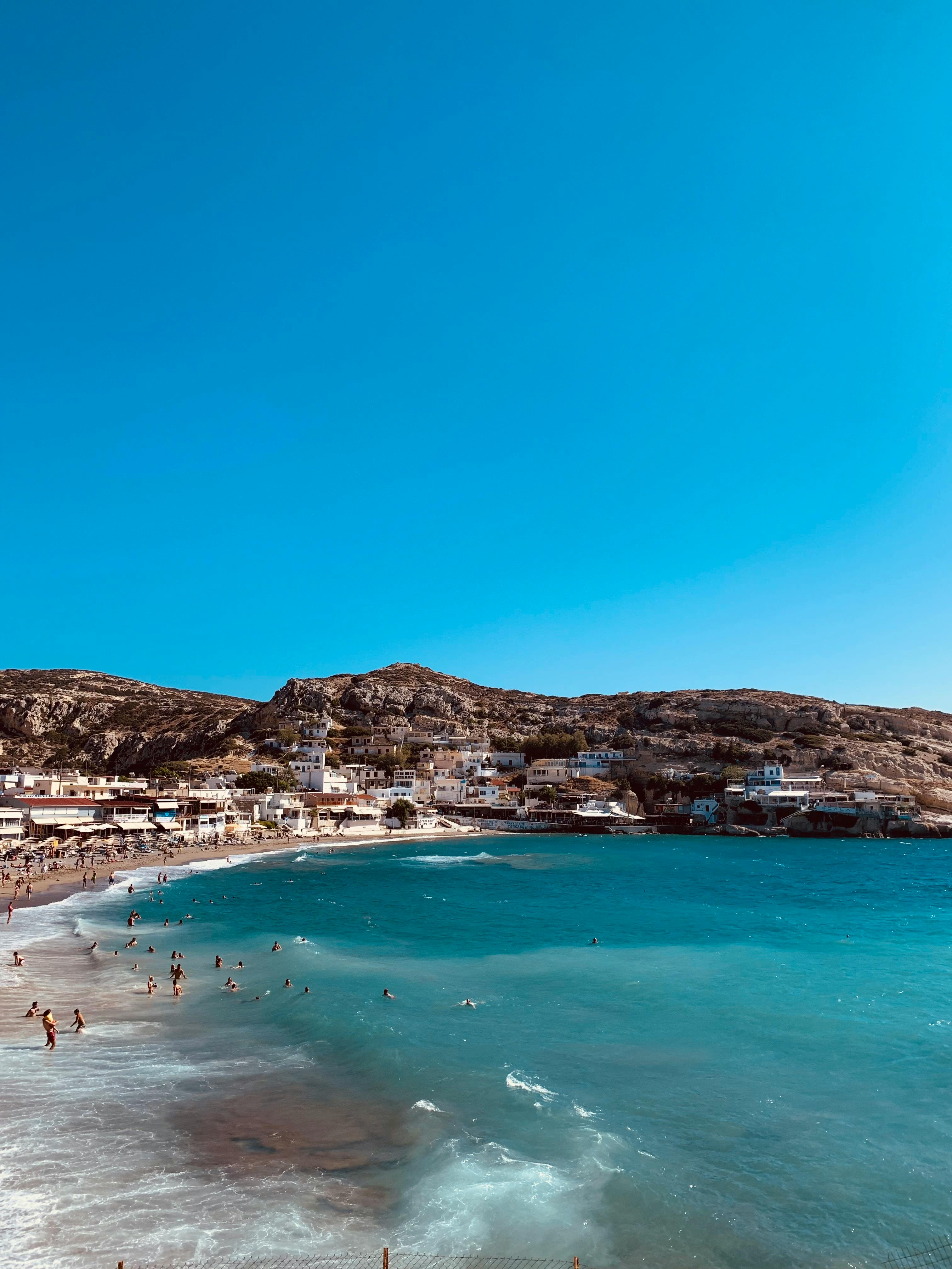 Bird Flying over Town on Sea Shore · Free Stock Photo