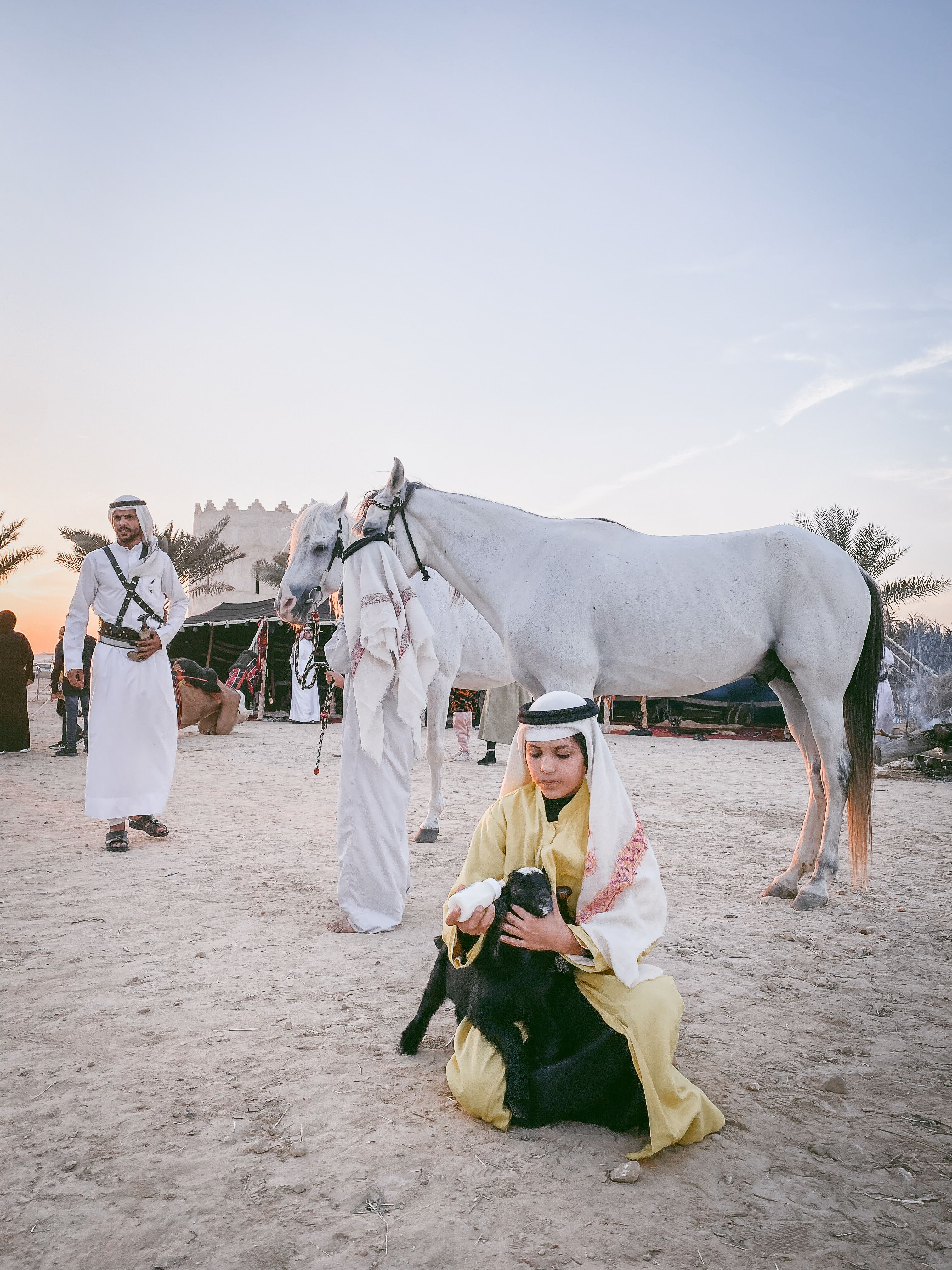 Arabian Photos, Download The BEST Free Arabian Stock Photos & HD Images