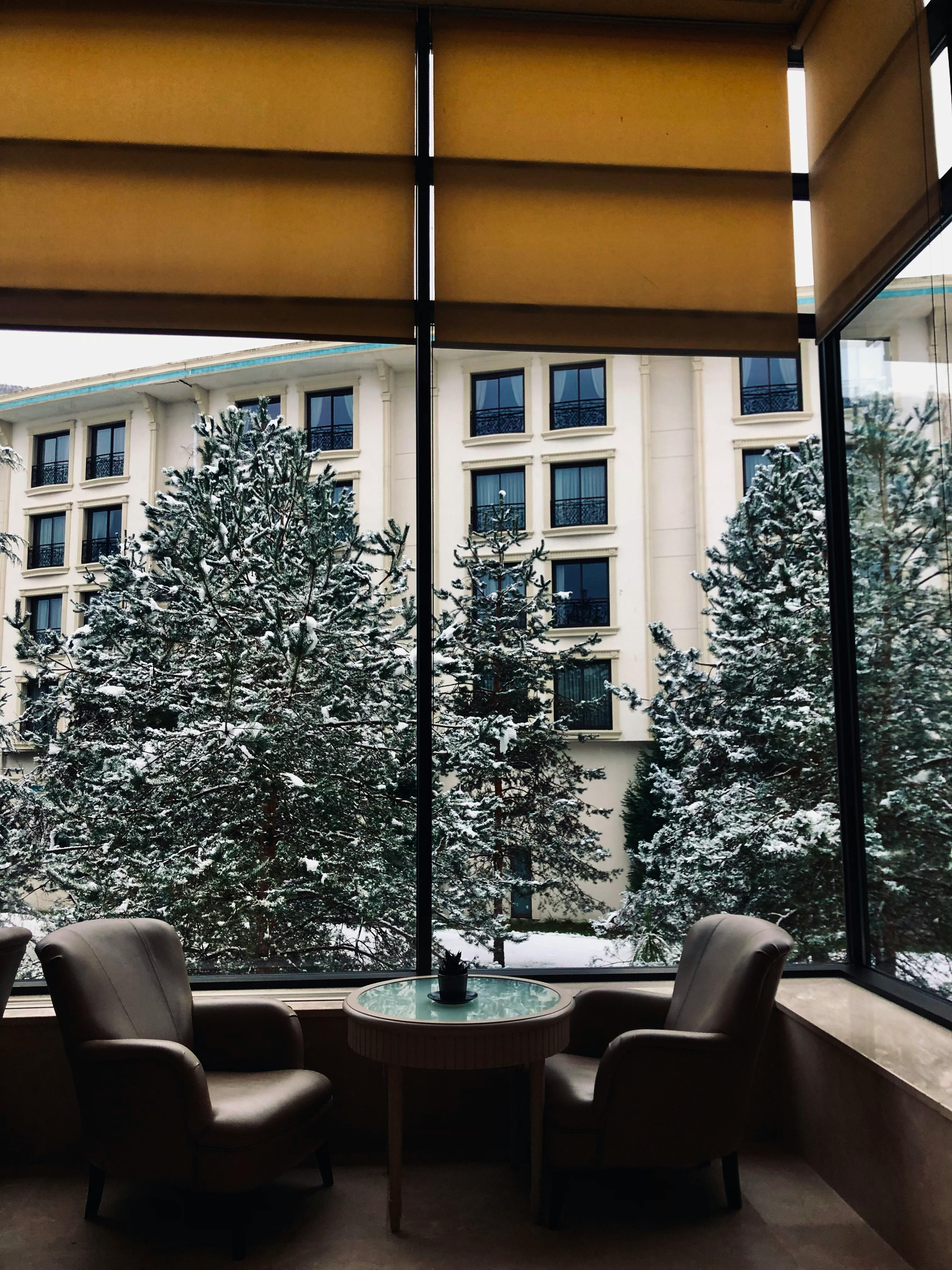 Comfortable Coffee Table in Cafeteria · Free Stock Photo