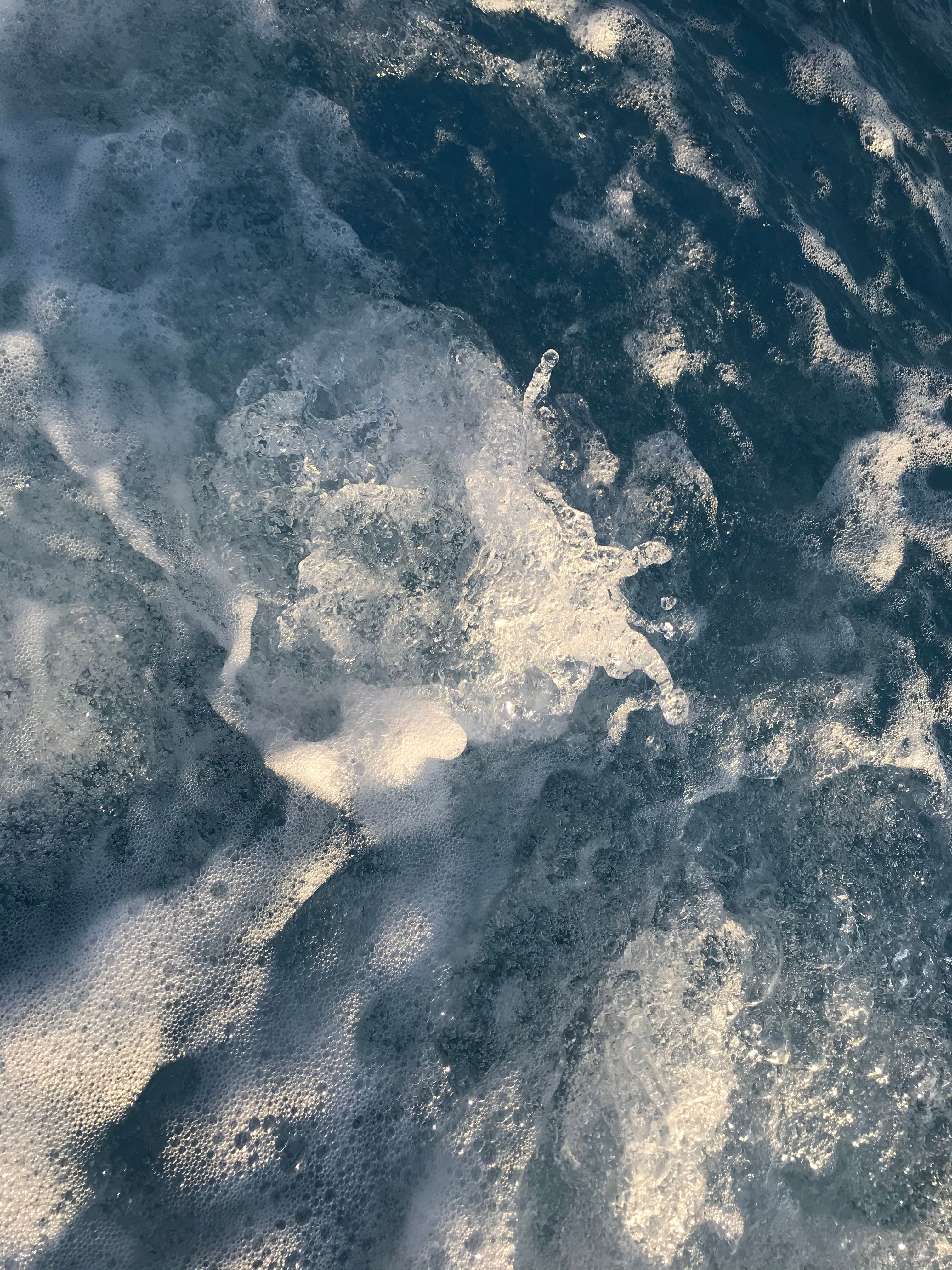 Texture of the Sea Foam · Free Stock Photo