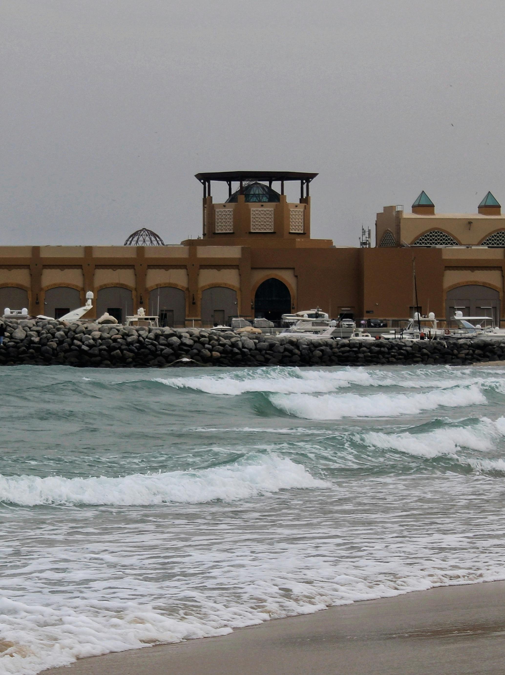 Aquib Alam - Fotografía