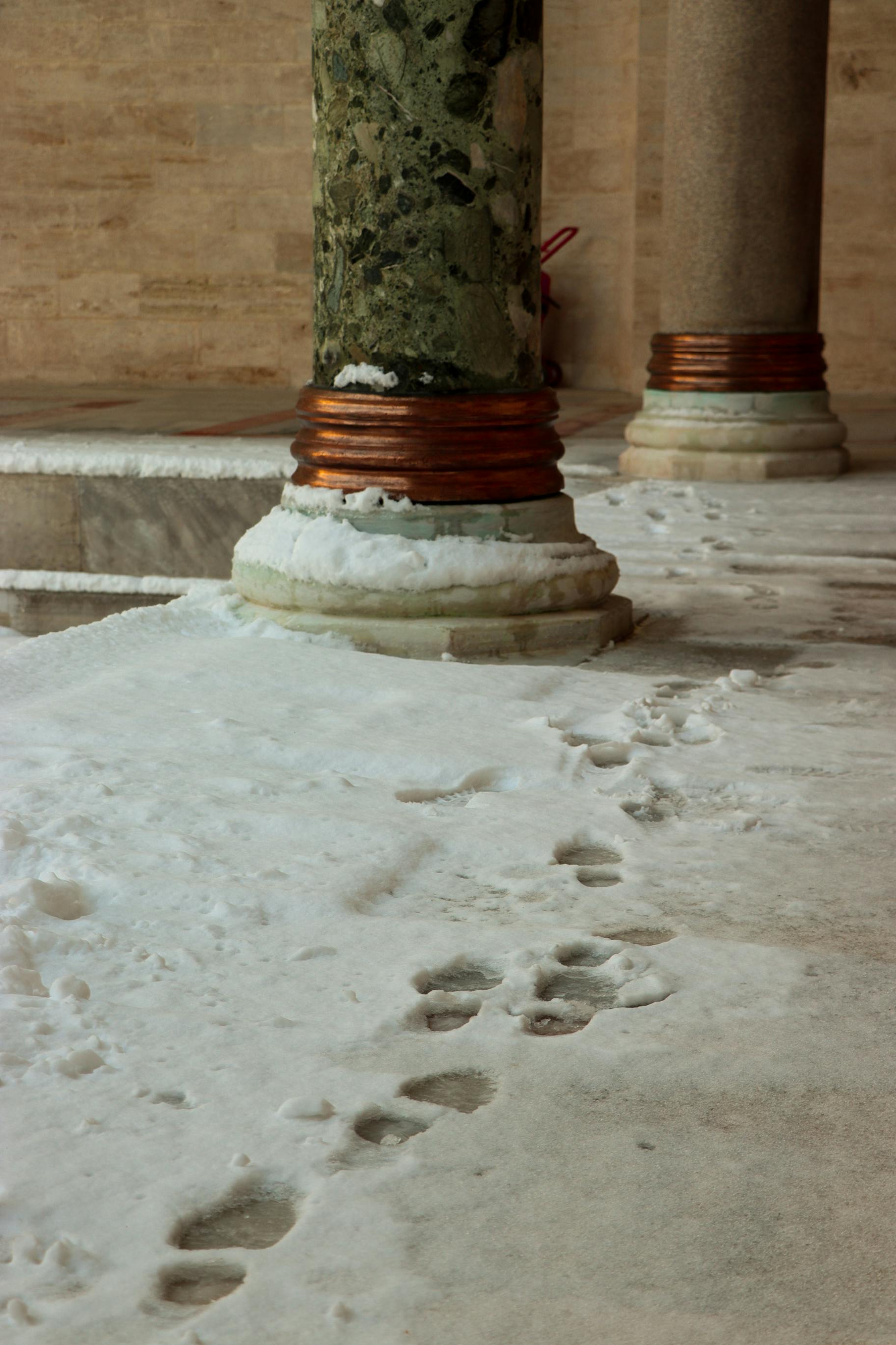 Snowy Floor Cold Photos, Download The BEST Free Snowy Floor Cold Stock ...