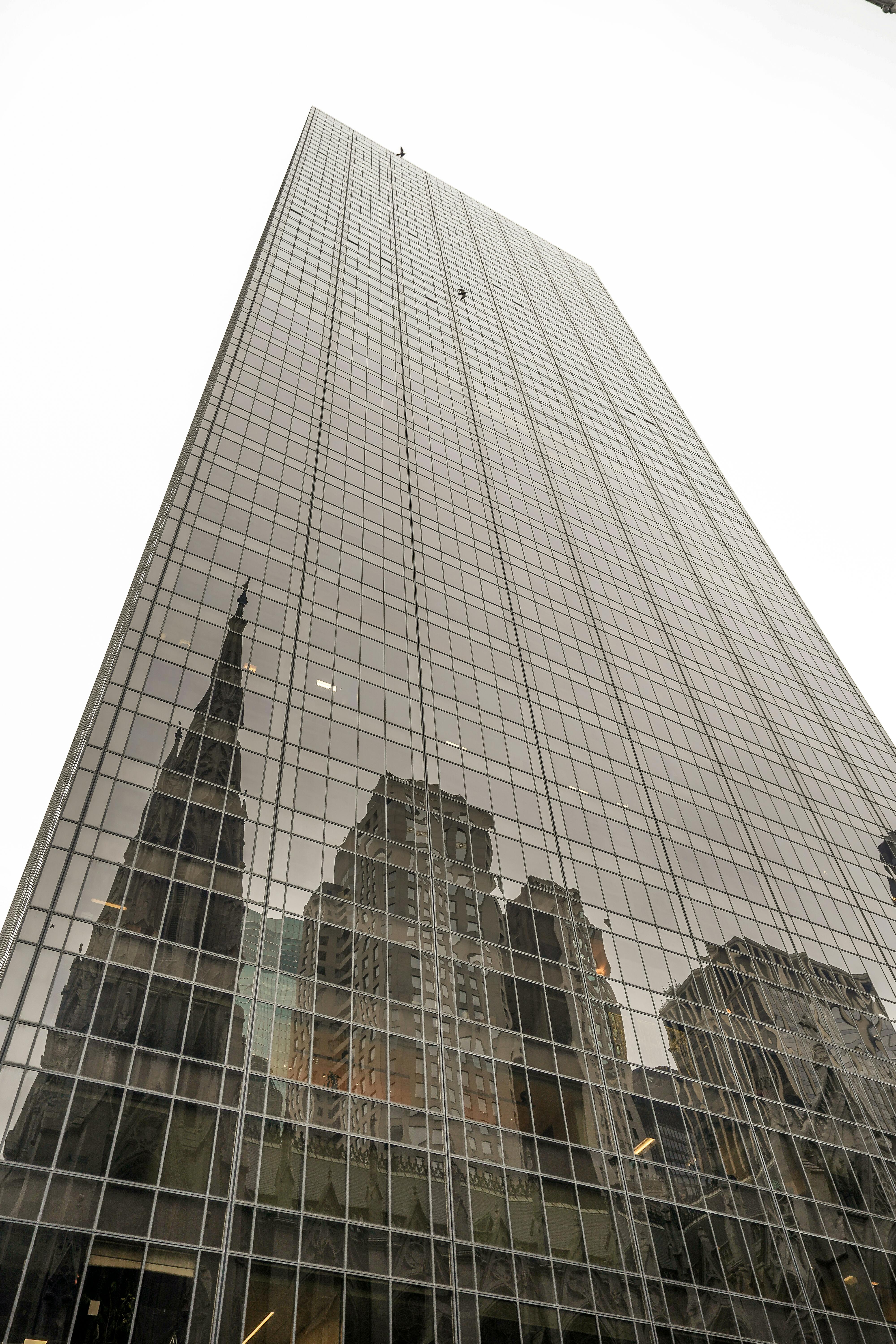 Majestic stone building near glass skyscraper in downtown · Free Stock ...