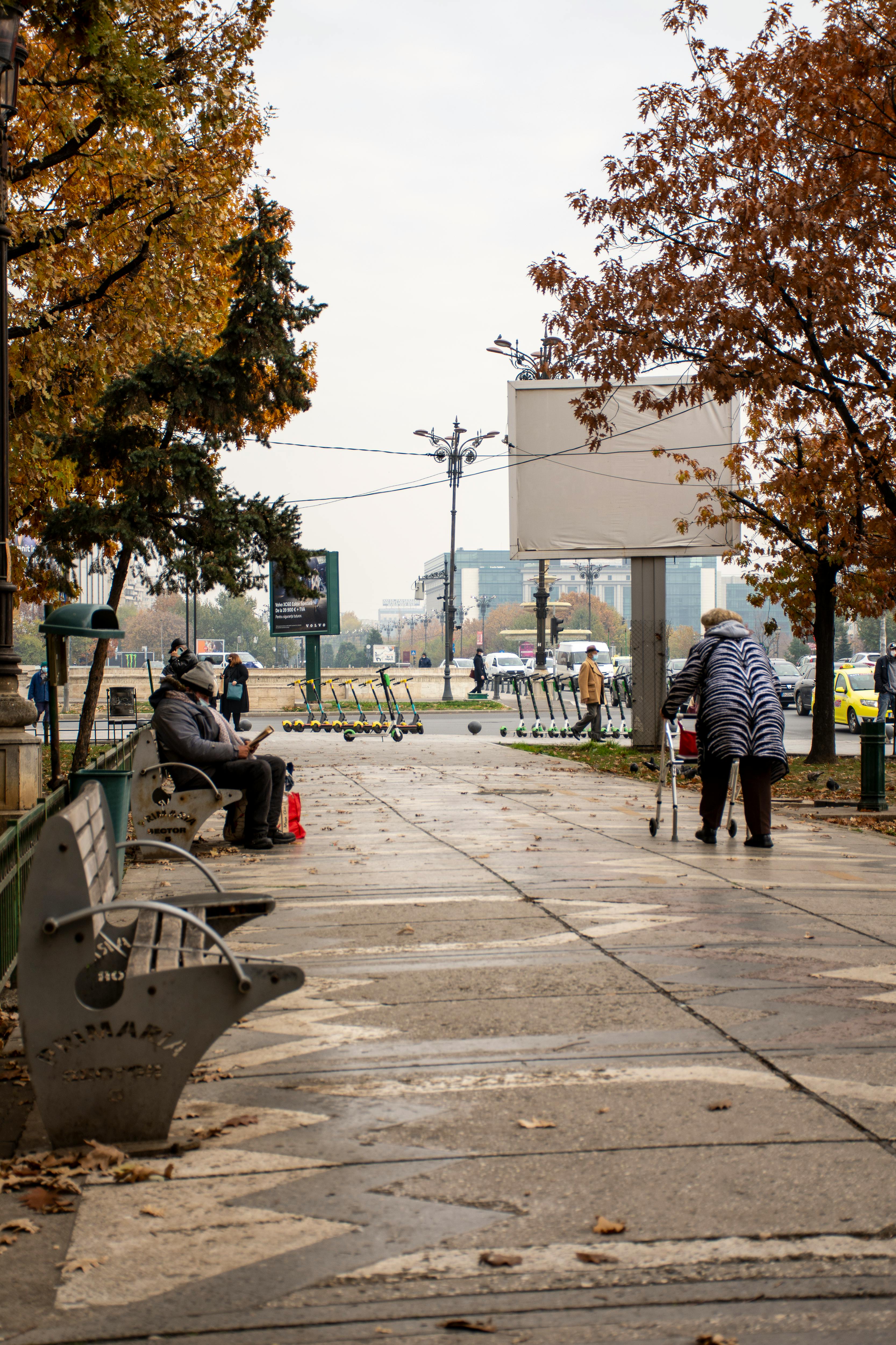 People at a Park · Free Stock Photo