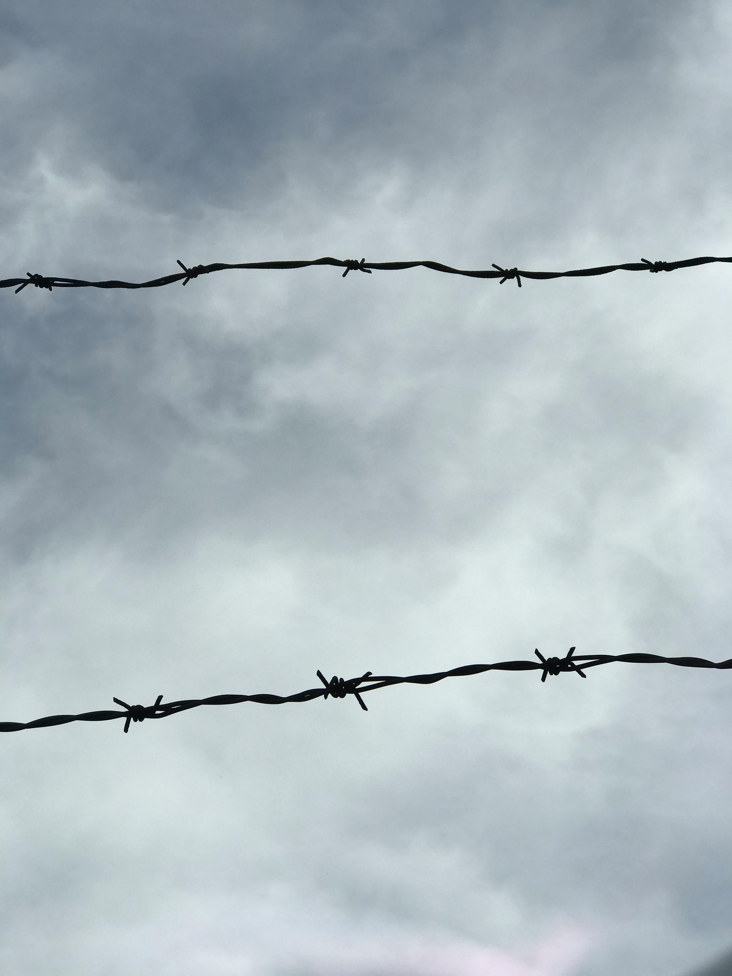 22+ Best Free Anguish Stock Photos & Images · 100% Royalty-Free HD ...