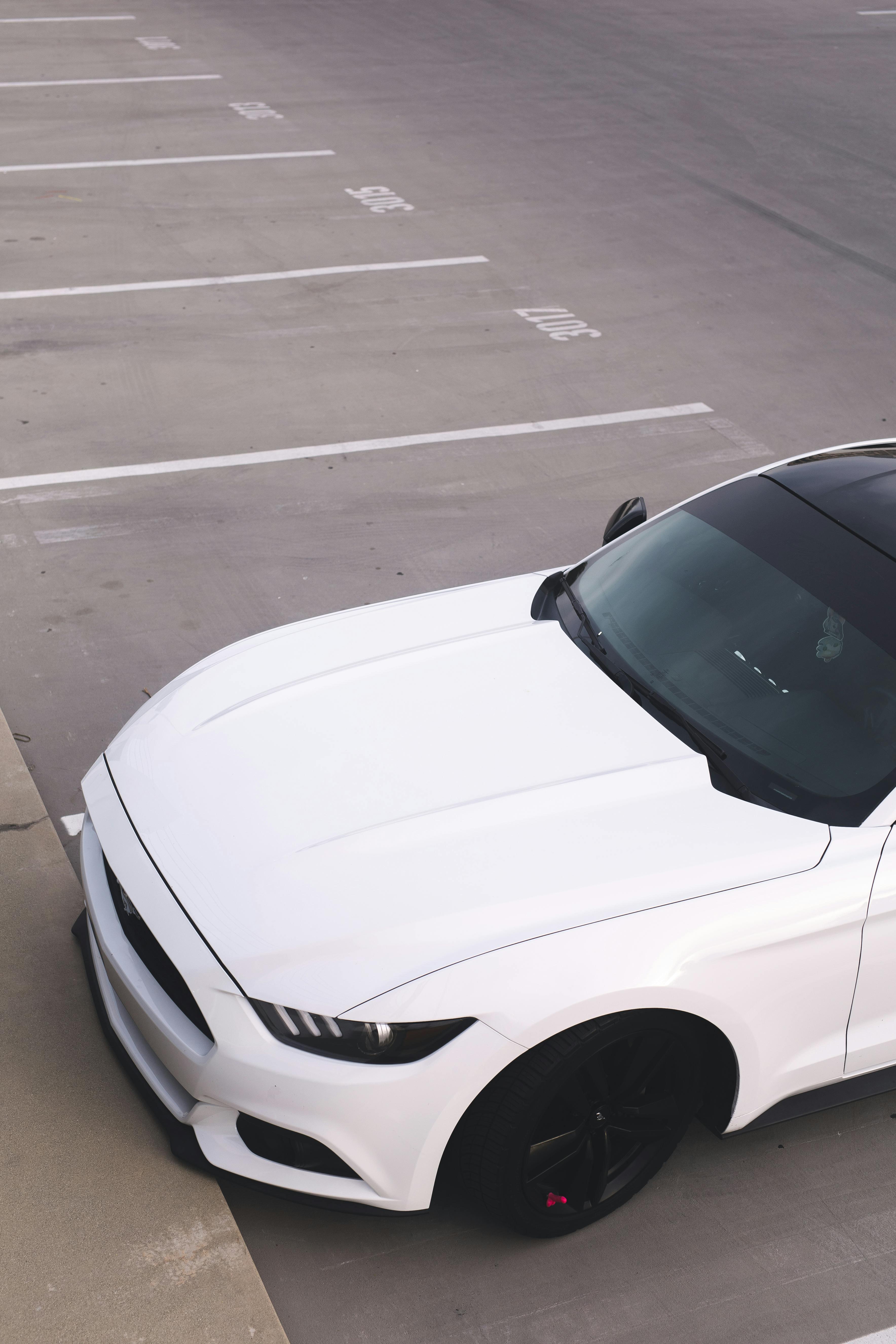2,000+ Best Ford Mustang Photos · 100% Free Download · Pexels Stock Photos