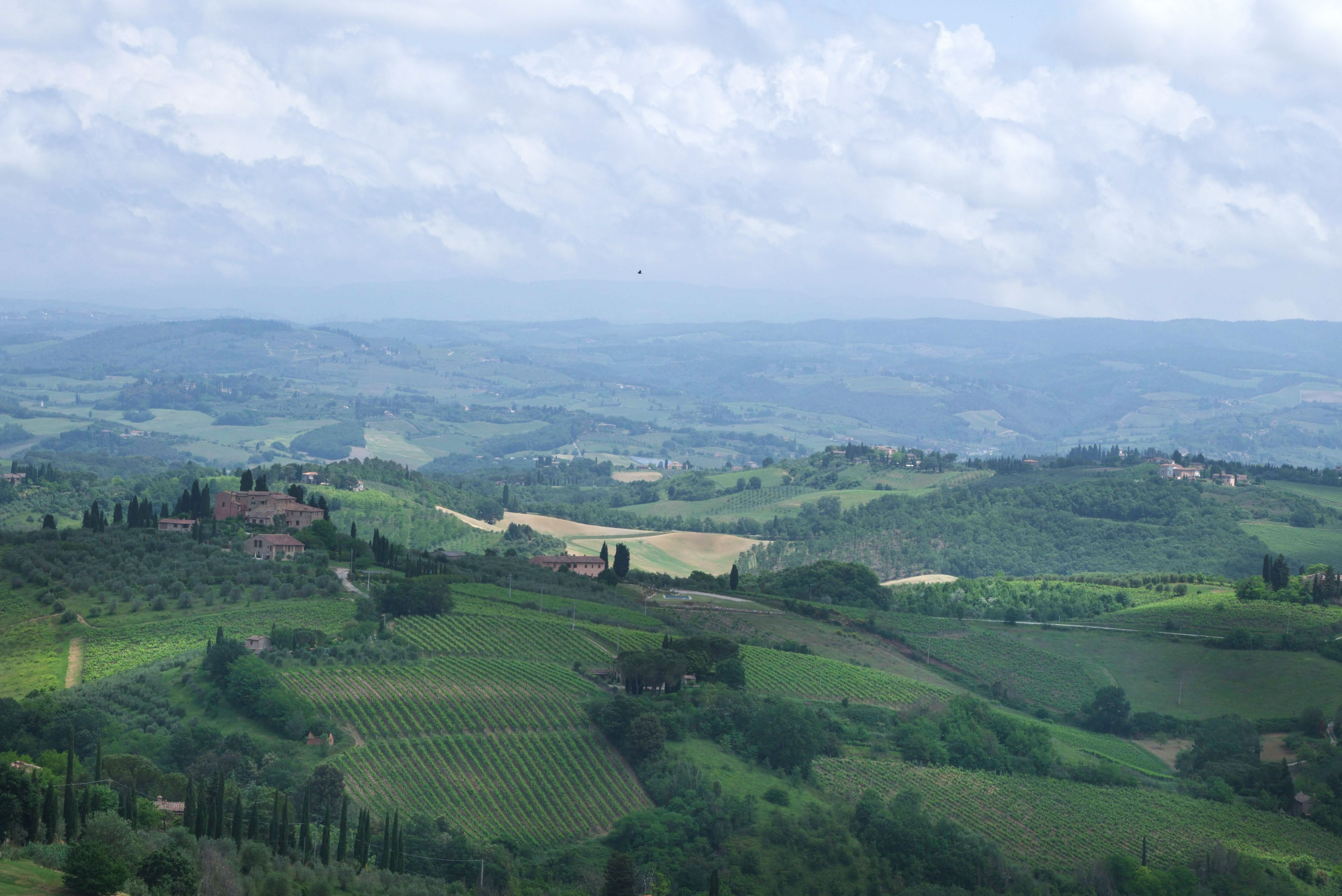 Aerial View of a Landscape · Free Stock Photo