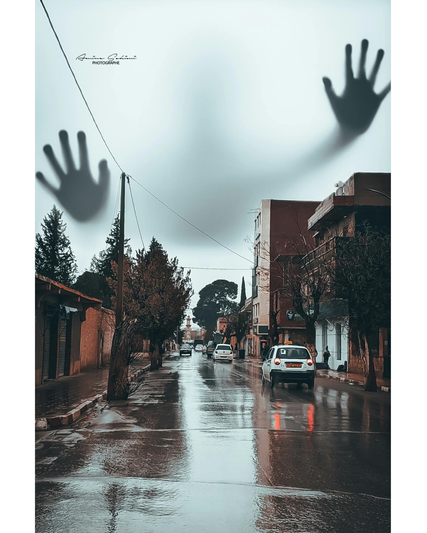 Nature 1 Photos & Videos Collected by Amine Sehimi