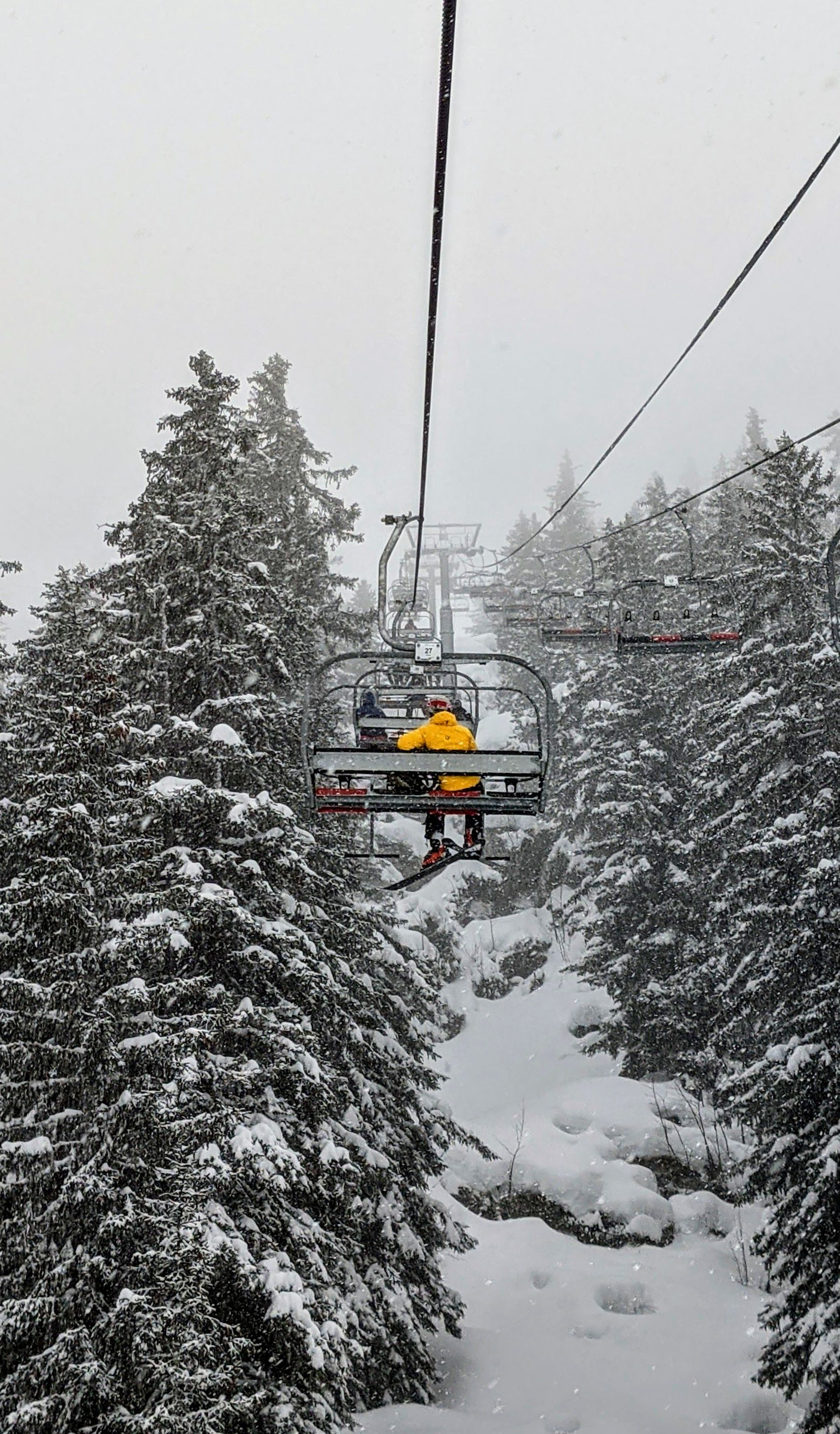 Photo gratuite de alpin, arbres, arbres couverts de neige, arbres ...