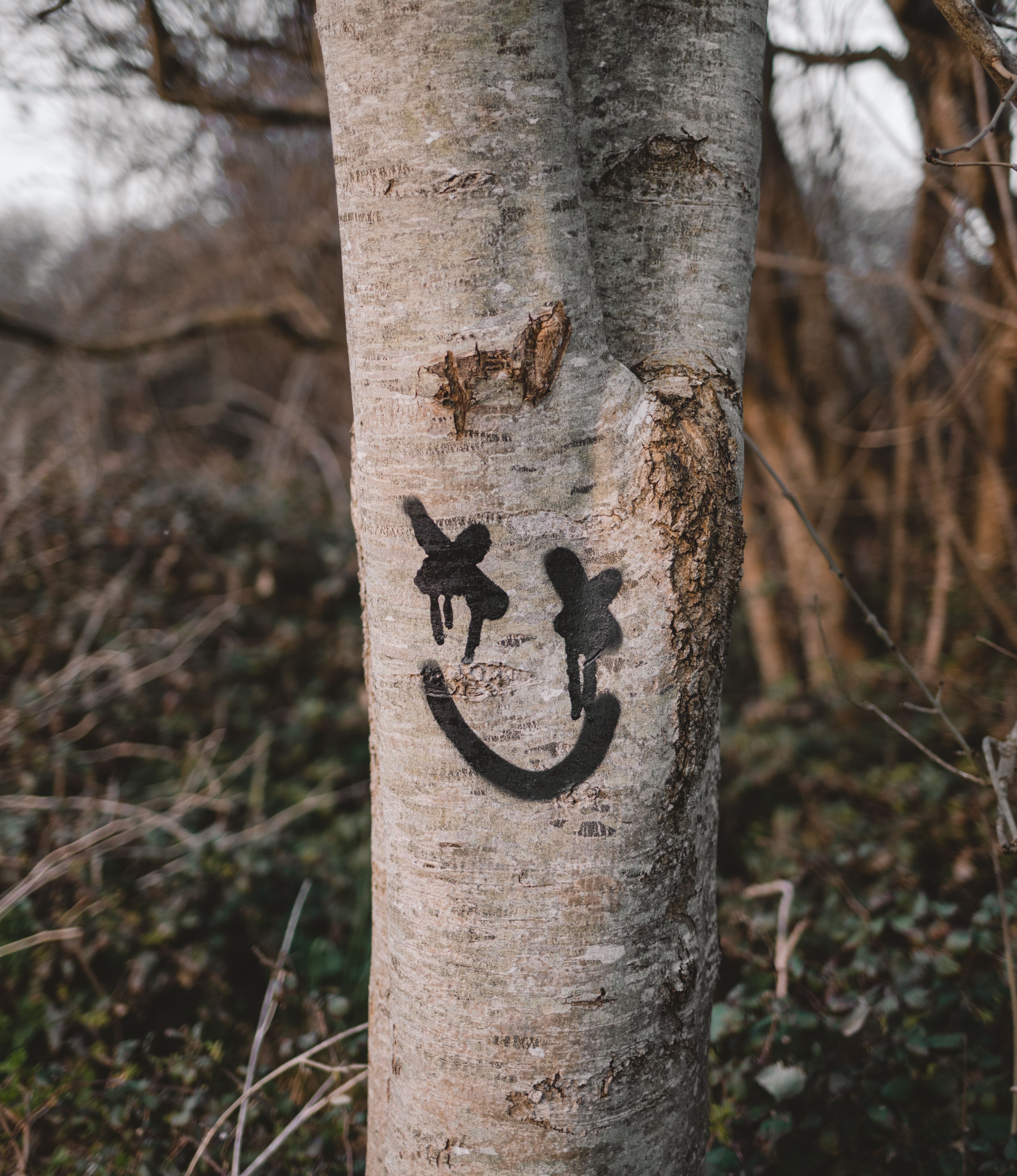 Xxxtentacion Tree Tatoo Photos, Download The BEST Free Xxxtentacion ...