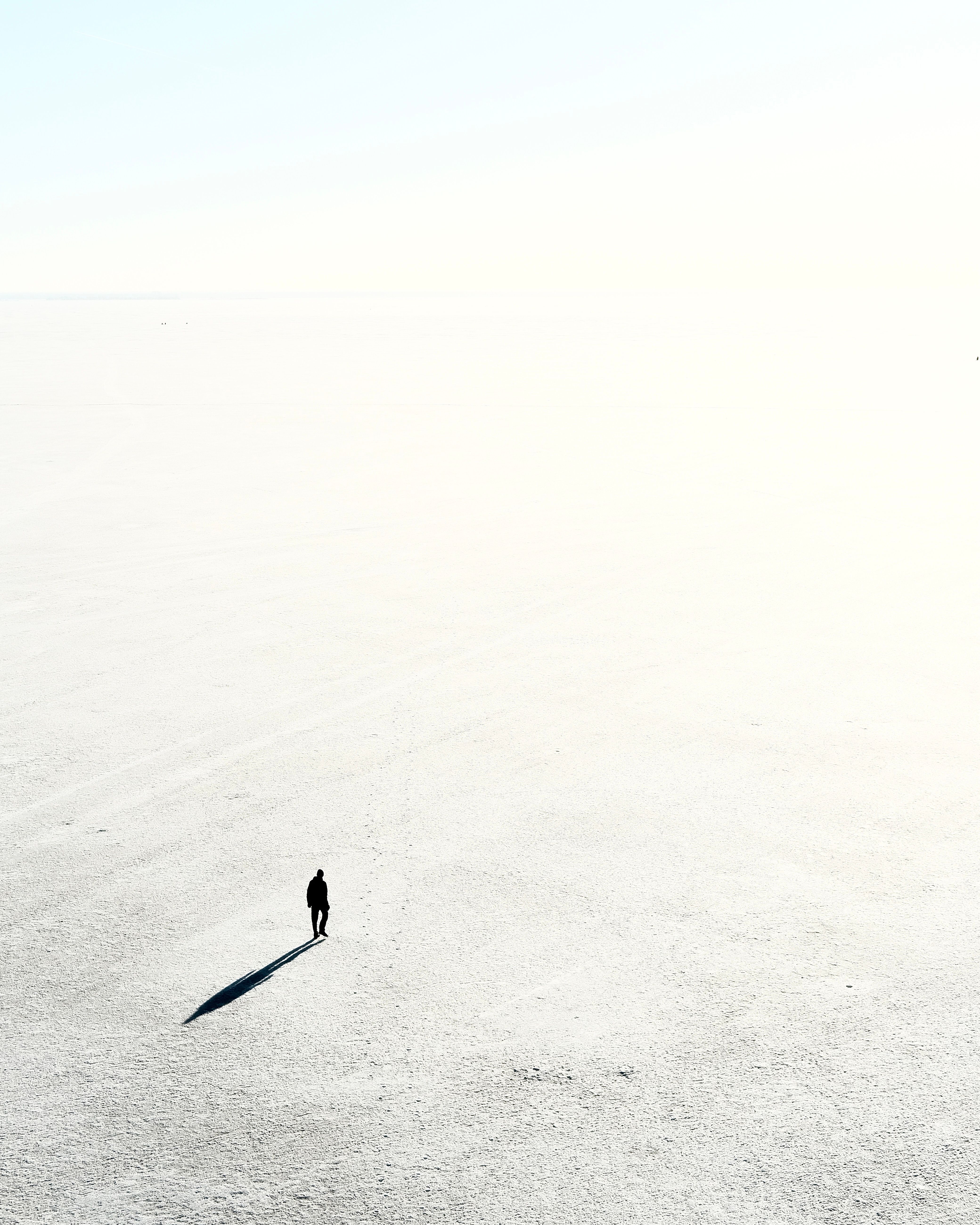 Isolation Photos, Download The BEST Free Isolation Stock Photos & HD Images